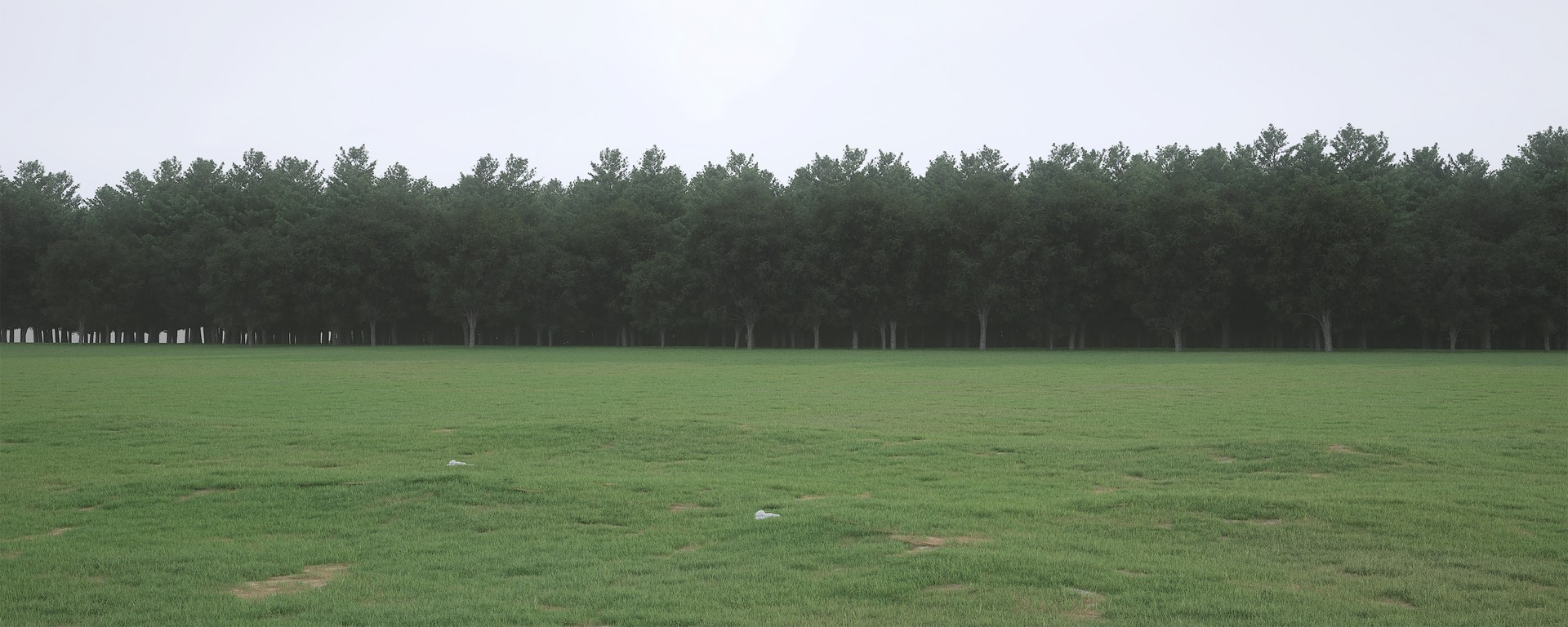 ArtStation - Cg environment