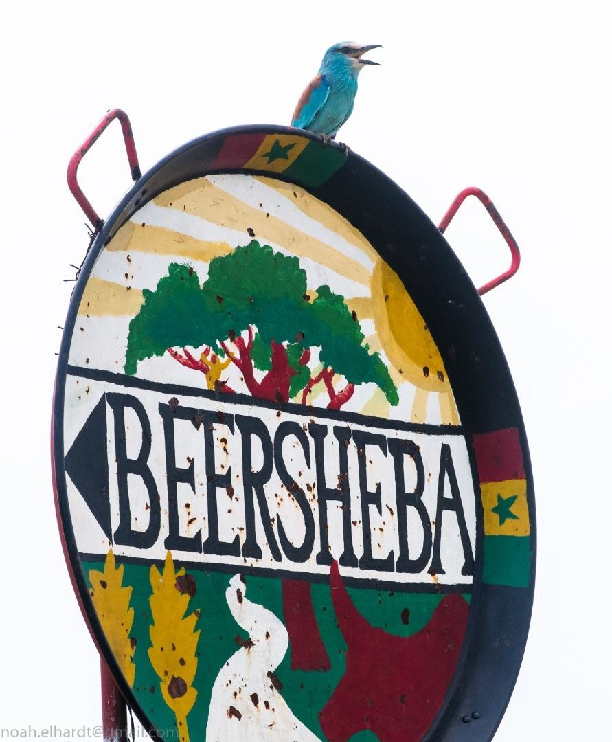 Adam van Bergeijk - Beersheba Sign