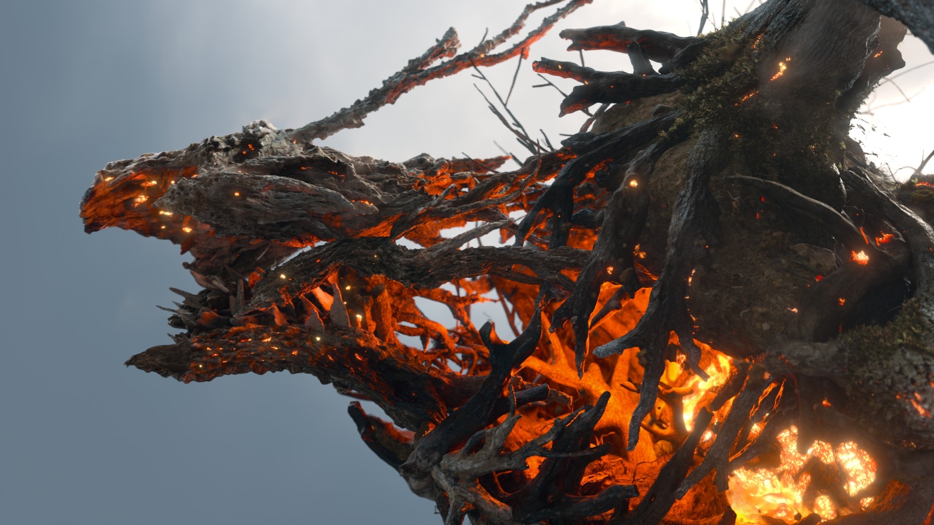 Tom McCall - Fallen Ember