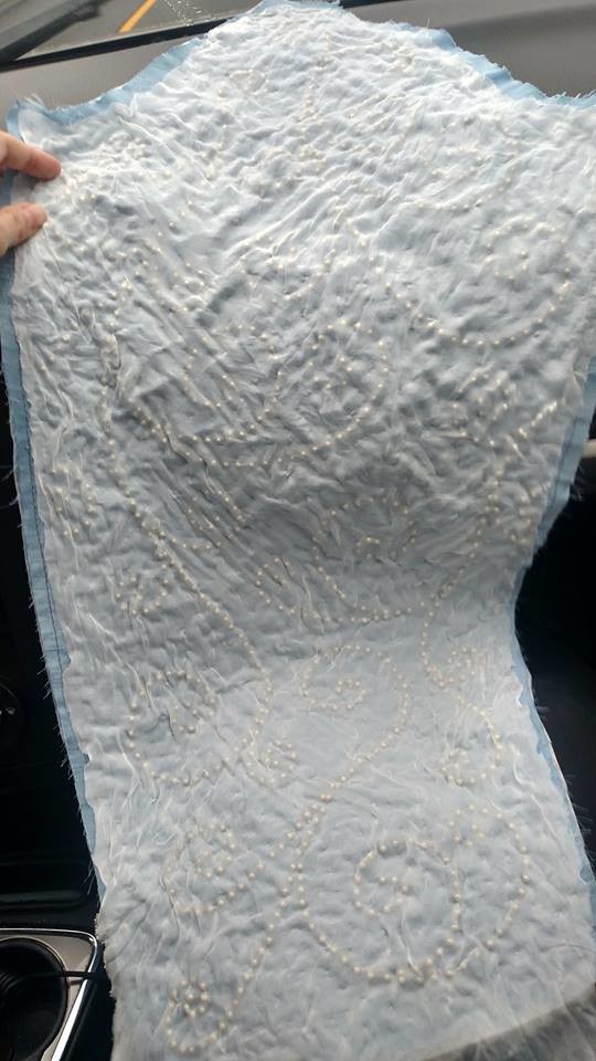 Kelly Coffman - Queen Amidala Costume