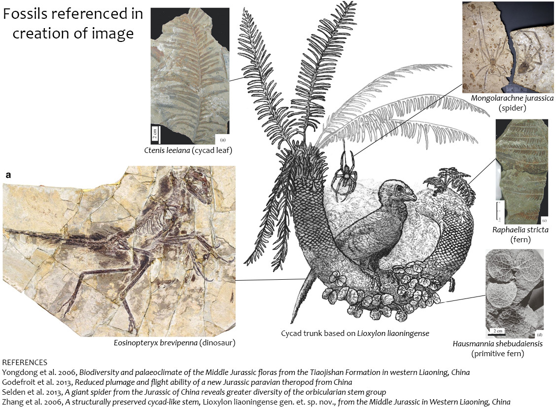 Tom Parker - Lioxylon