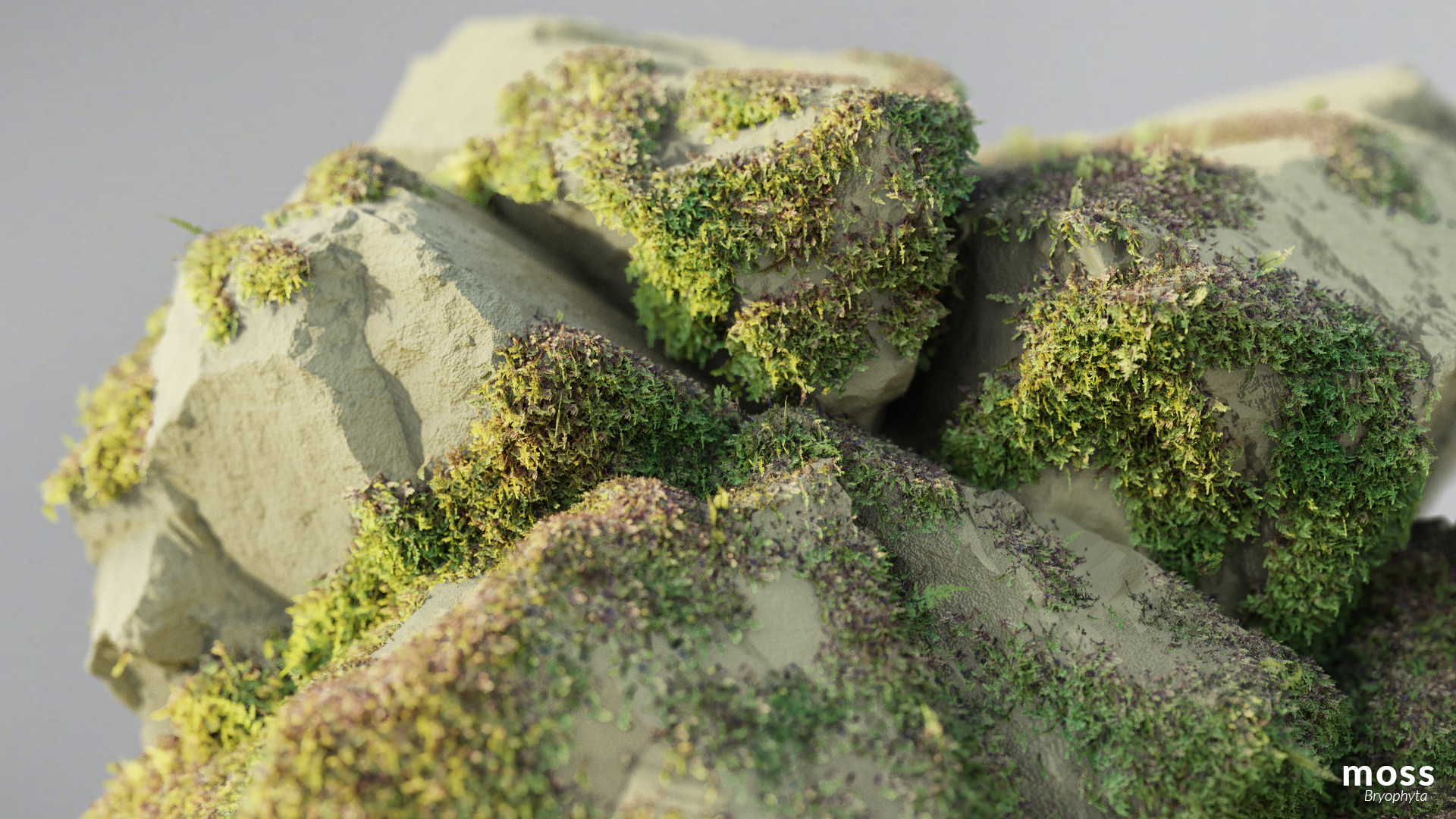 Julius Harling - Artwork for the Blender Conference 2018