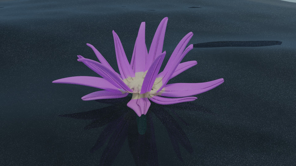 ArtStation - Lonely Lotus