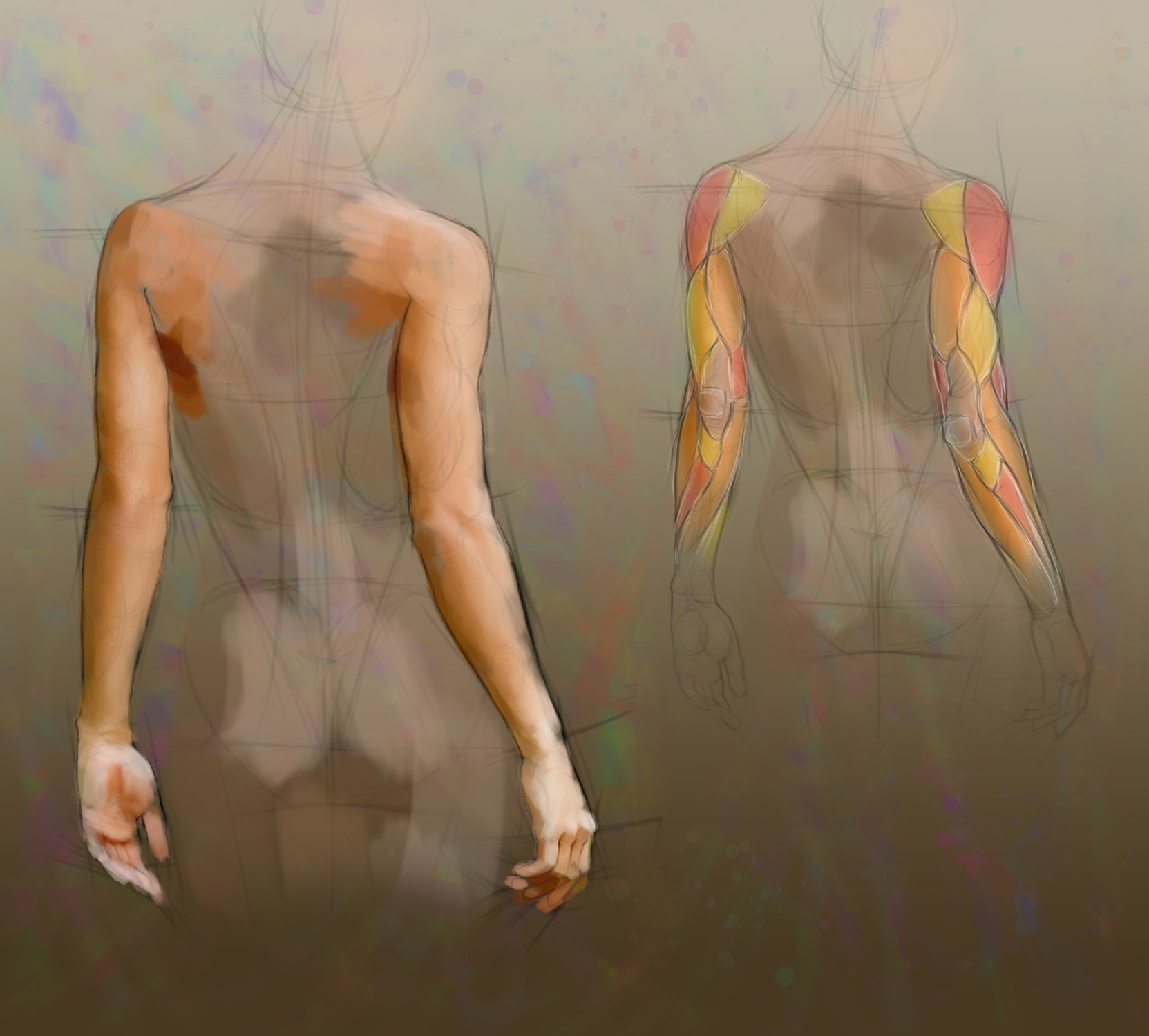 how to draw arms woman