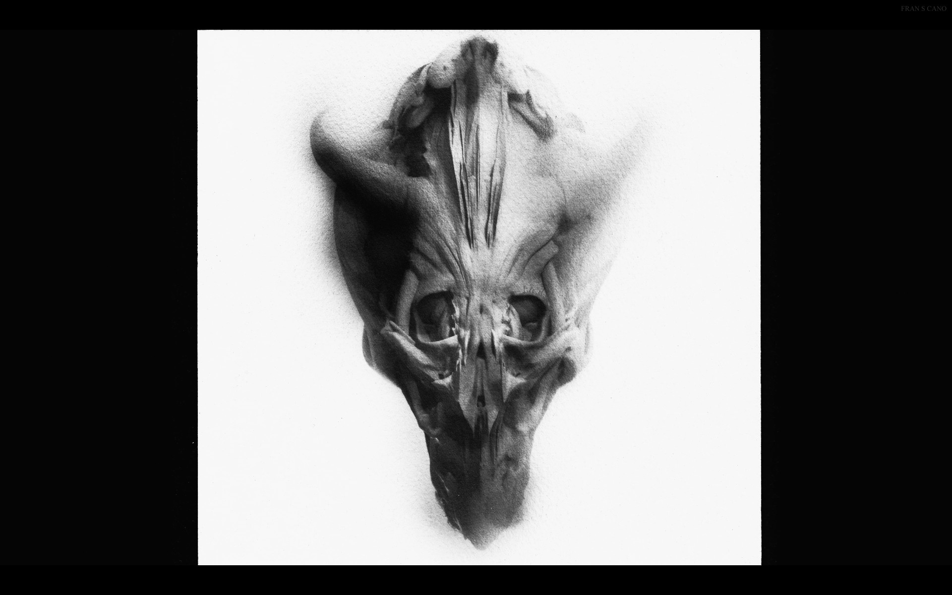 ArtStation - CIMERIES