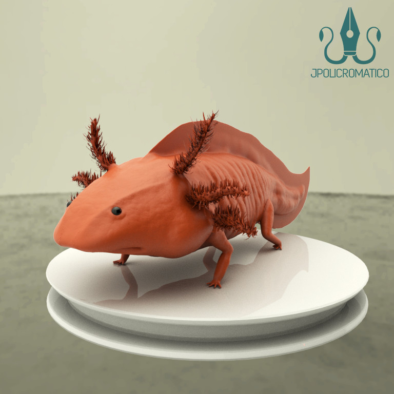 ArtStation - Axolotl