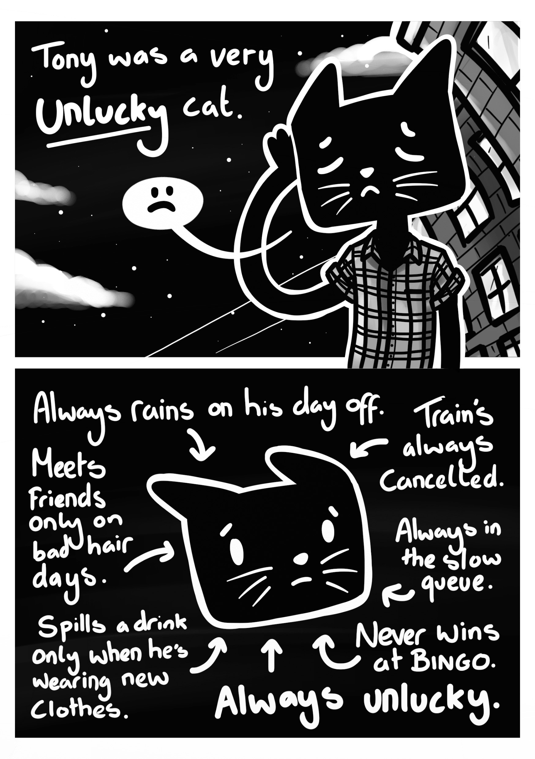 Meg Harris - Tony the cat