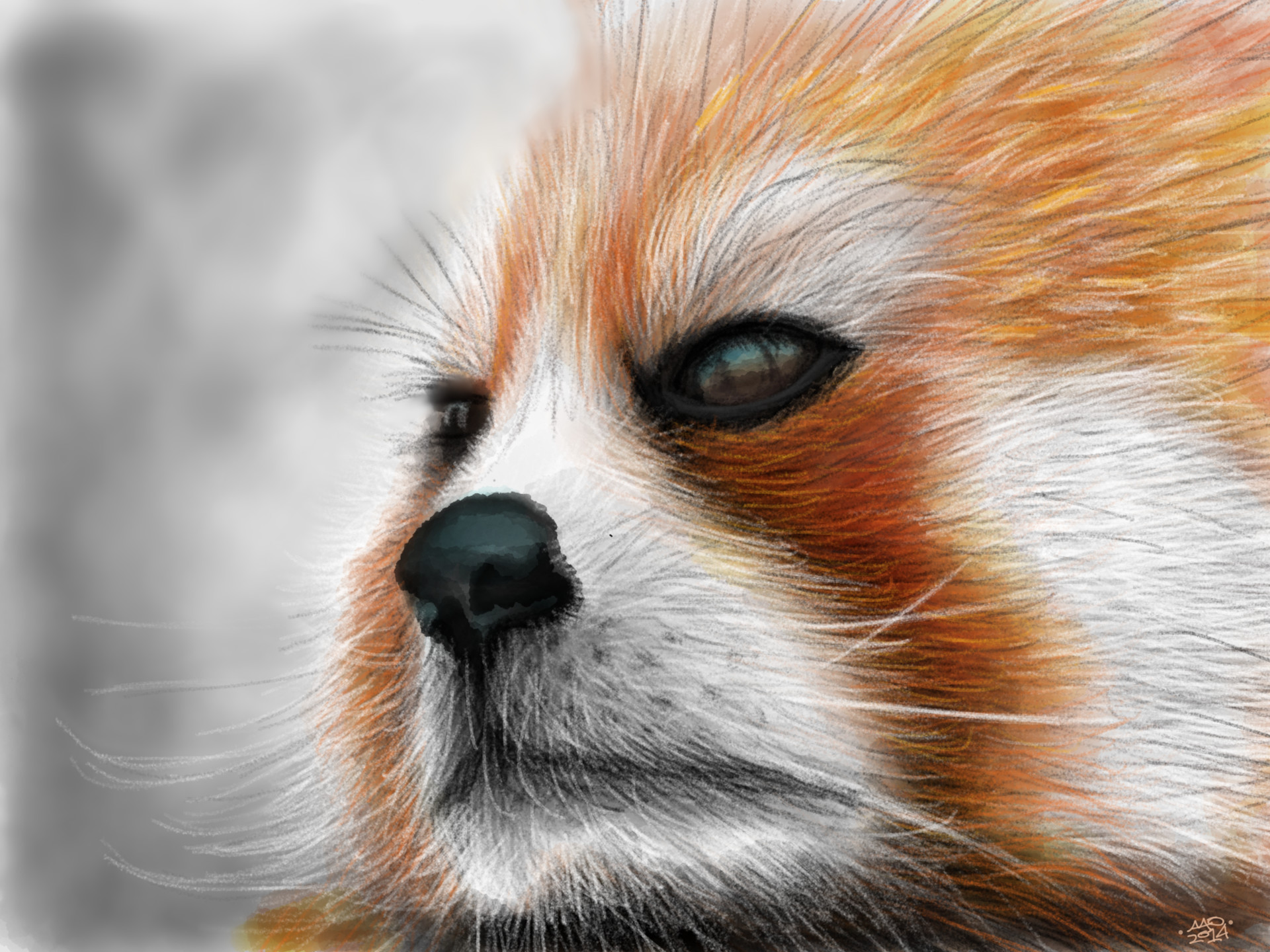 ArtStation - Red Panda (2014)