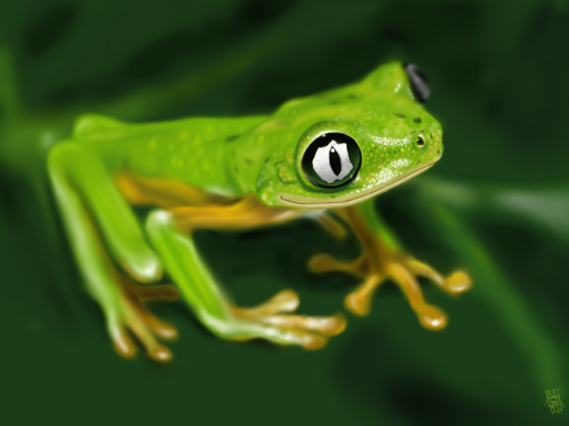 ArtStation - Lemur Leaf Frog (Hylomantis lemur) (2018)