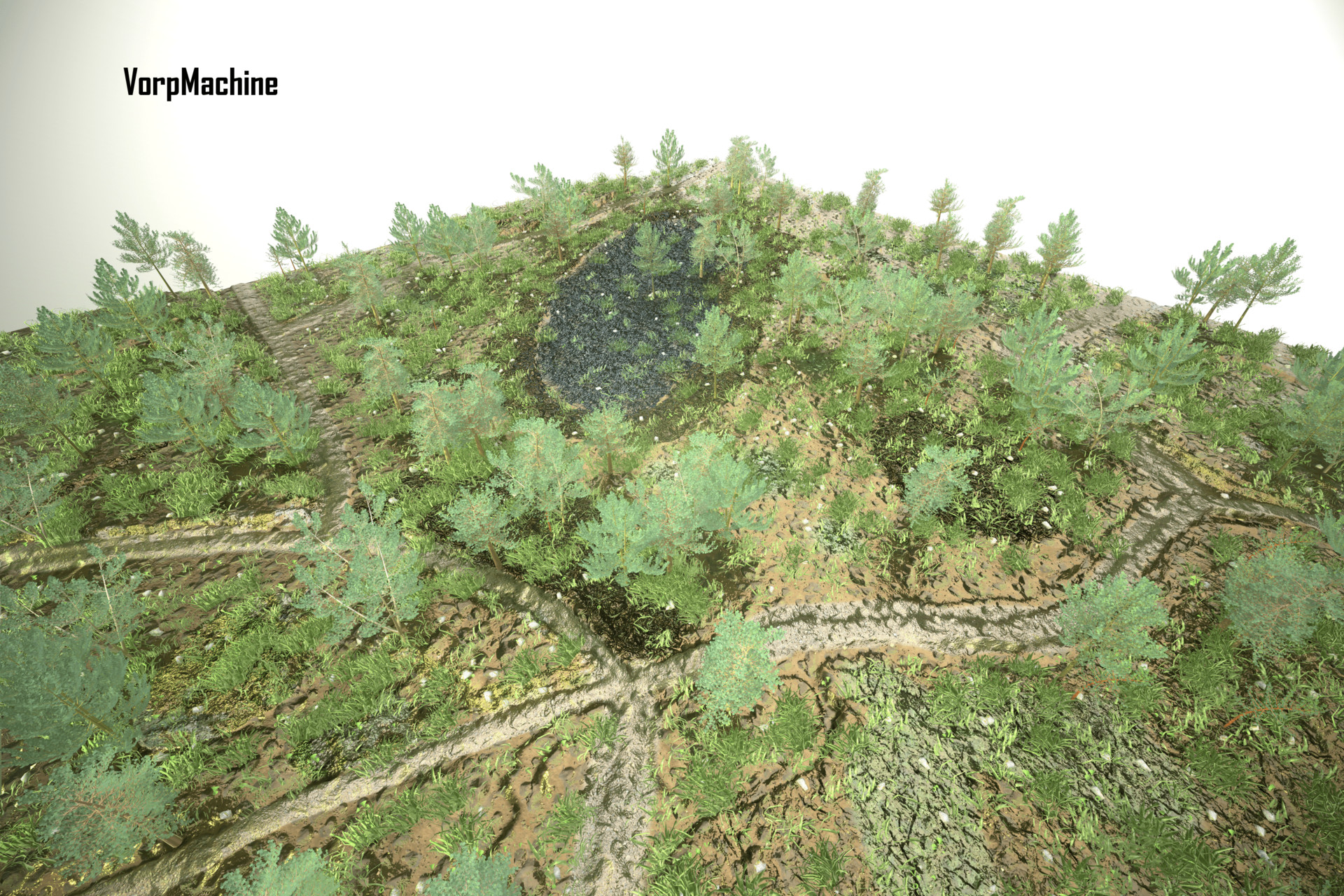 Andrey Mihaylov - Forested Terrain