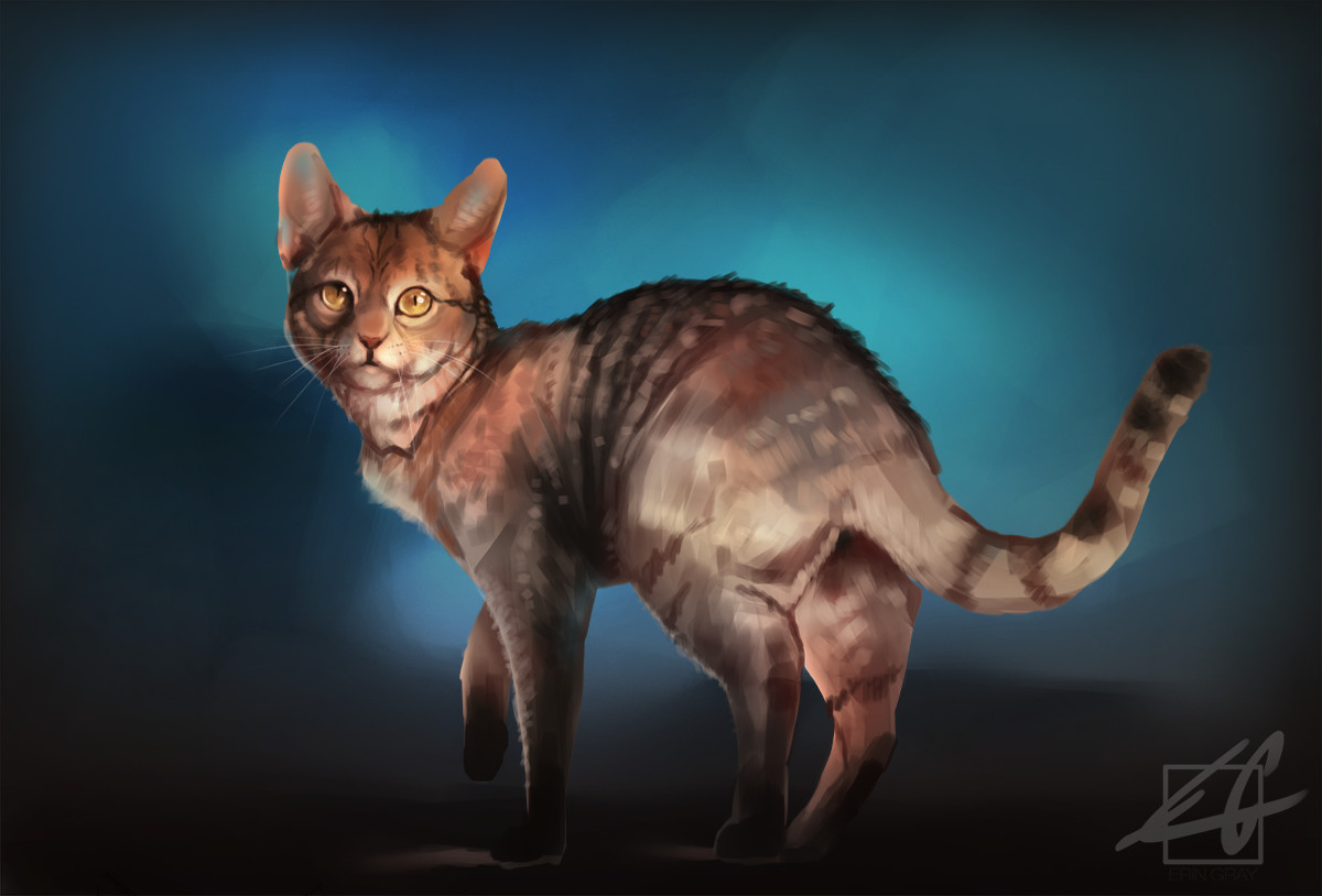 ArtStation - Cat Study 021118