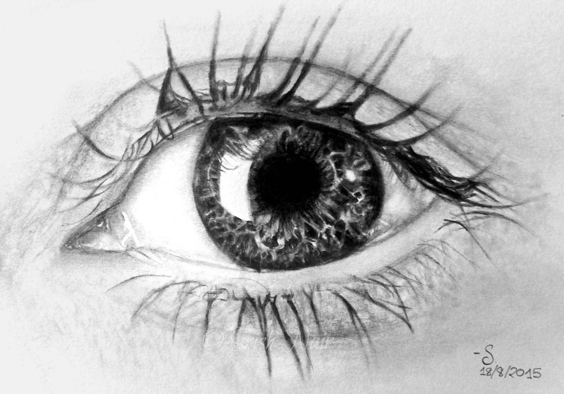 Srish Nair - Graphite and Charcoal Artwork