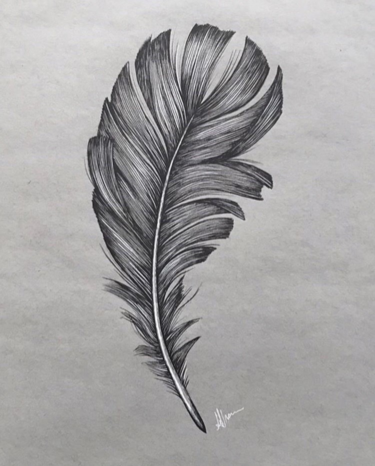 ArtStation - A Study of Feathers