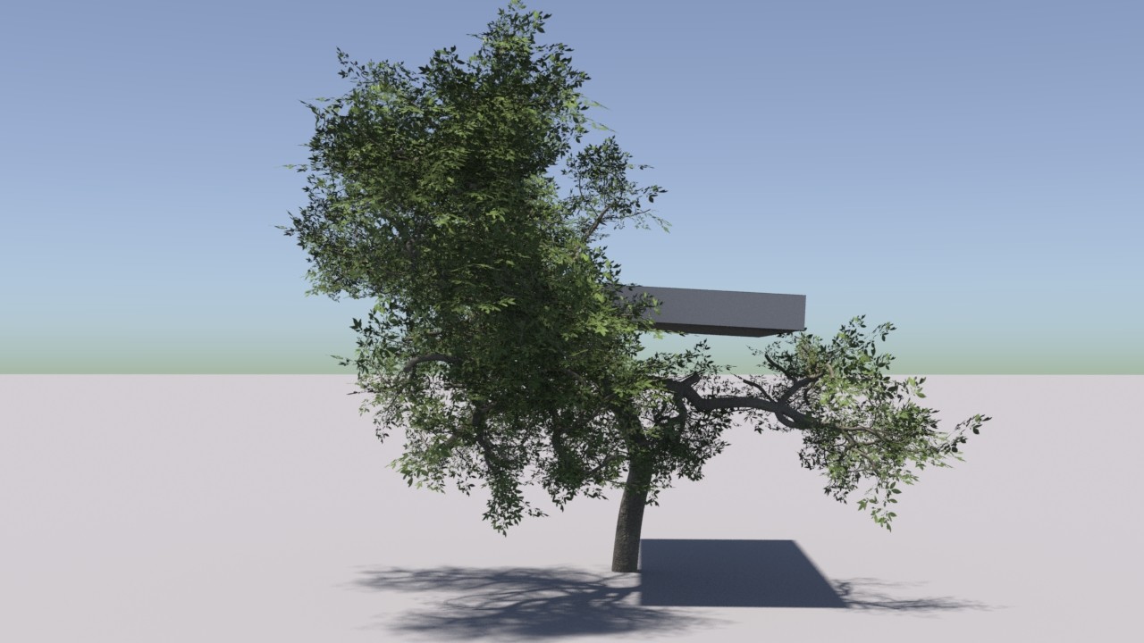 David Bertin - Houdini experiments : Procedural tree - various tests