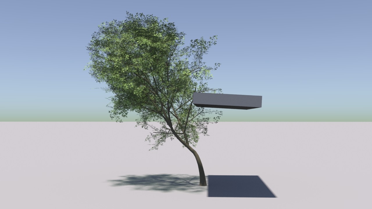 David Bertin - Houdini experiments : Procedural tree - various tests