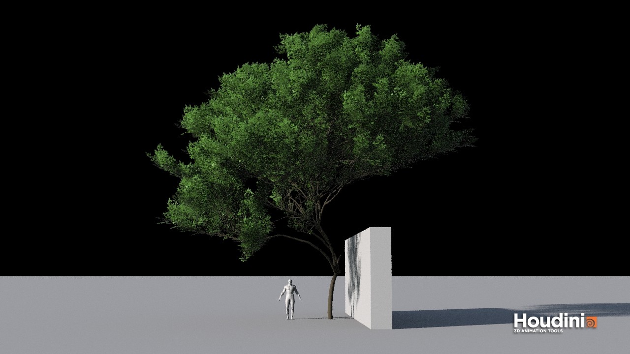 David Bertin - Houdini experiments : Procedural tree - various tests