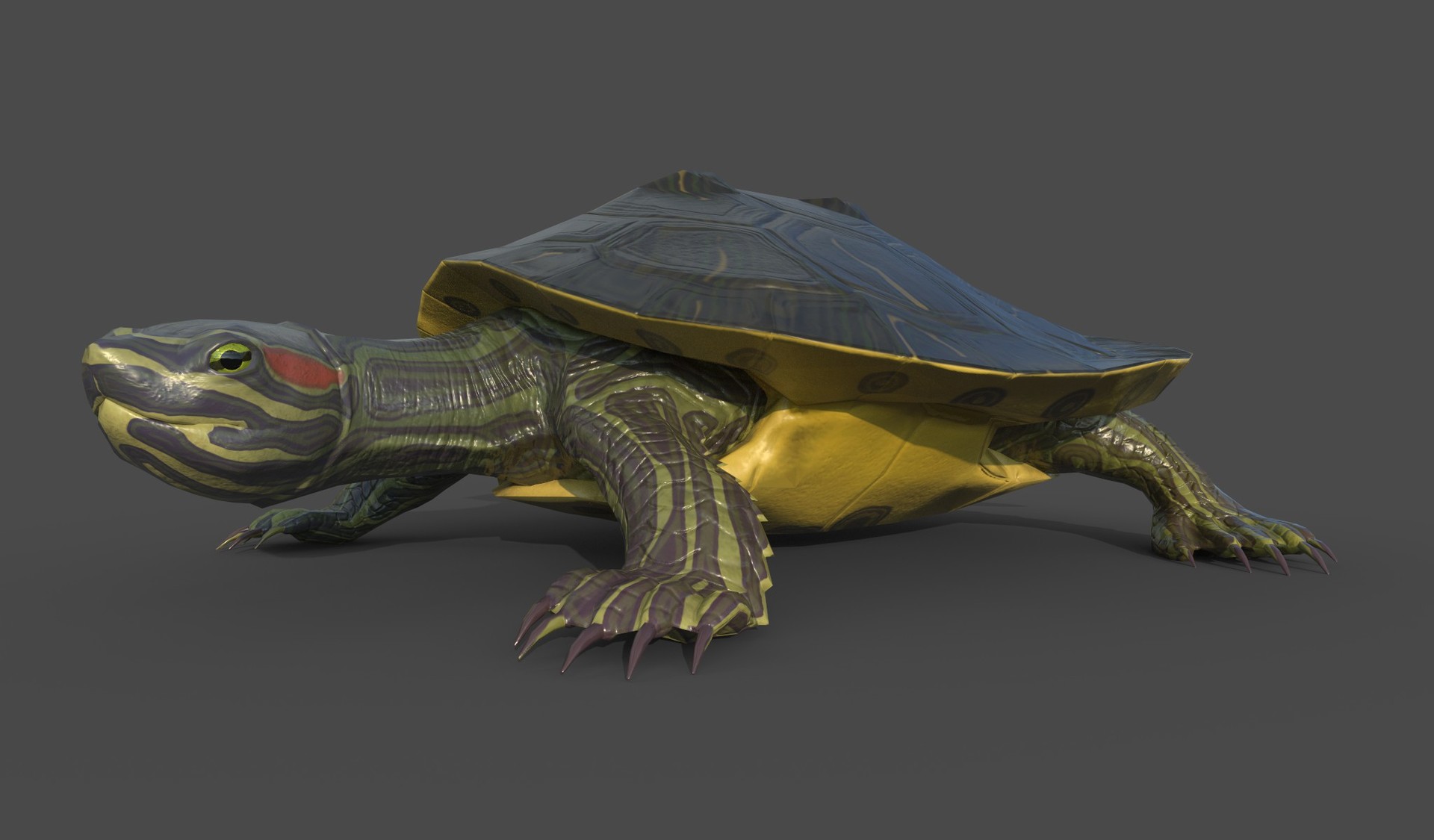 ArtStation - Turtle