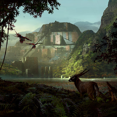 Tomas Honz - Portfolio