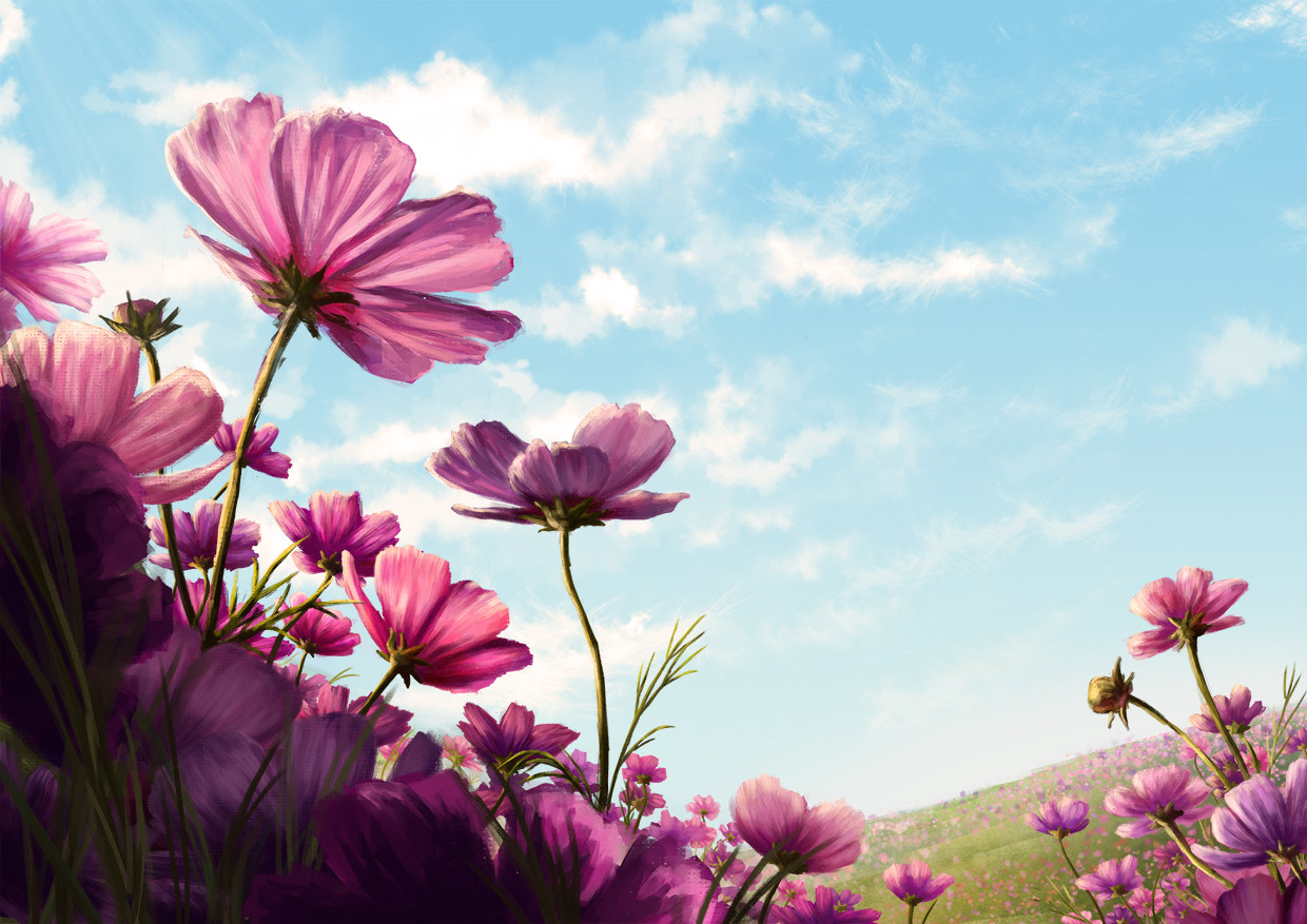 ArtStation - Cosmos flowers