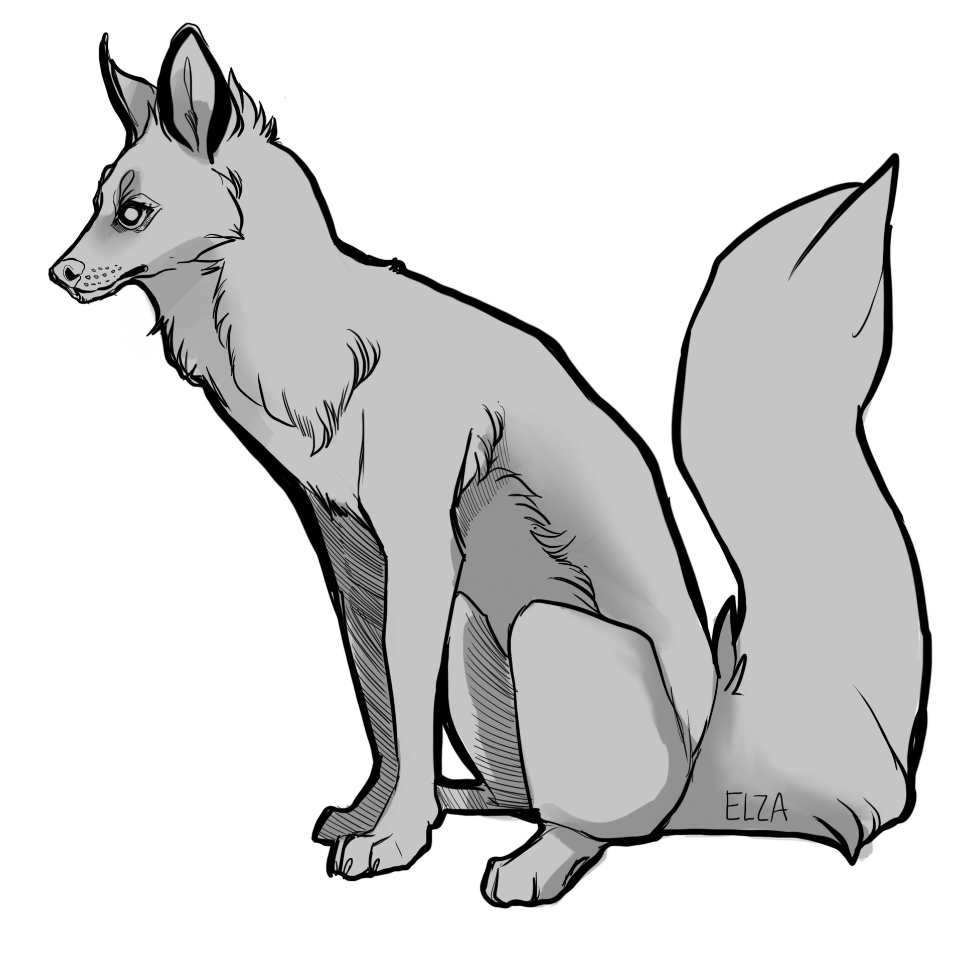 ArtStation - Transparent Wolf / Full Body