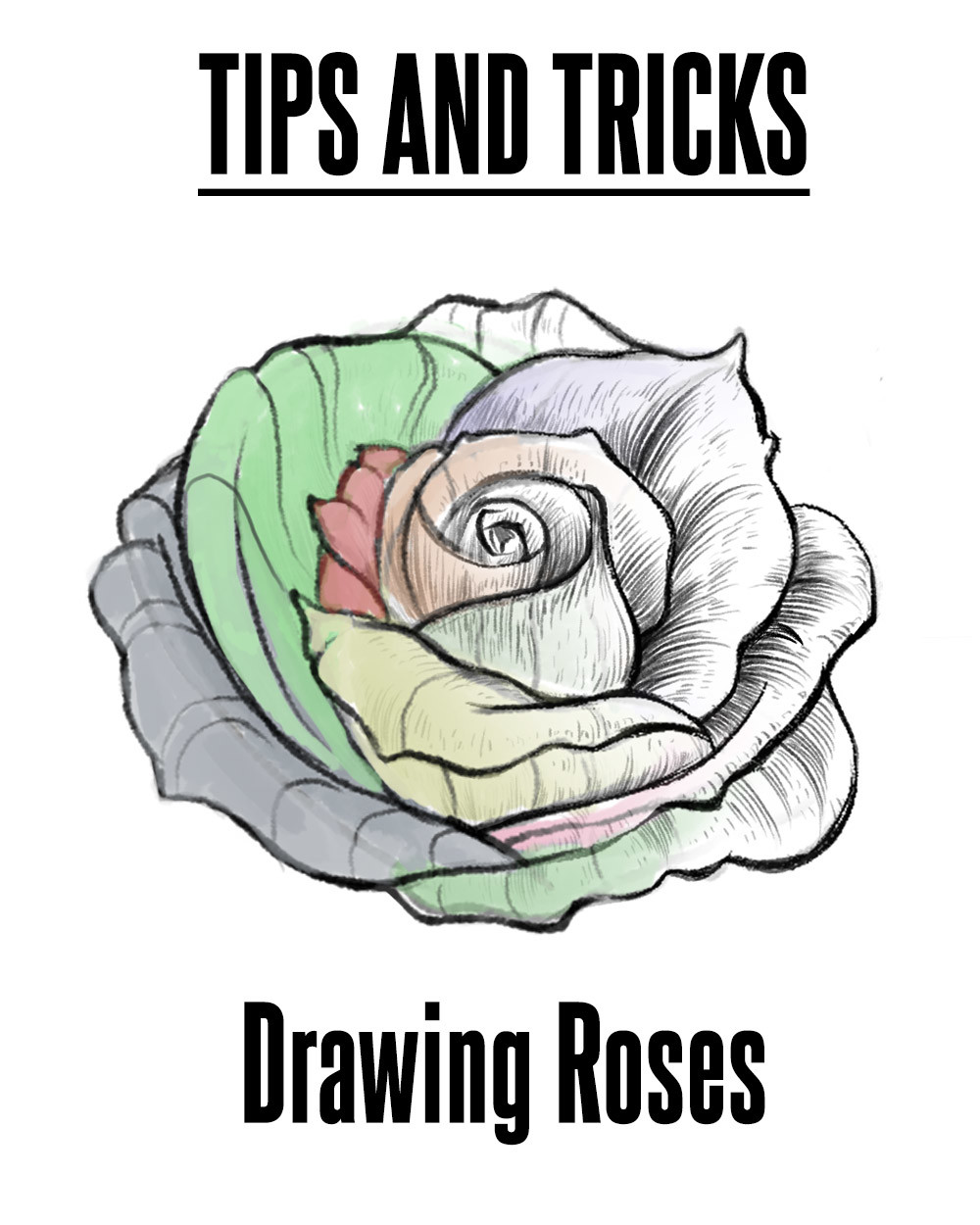 how to draw mini rose