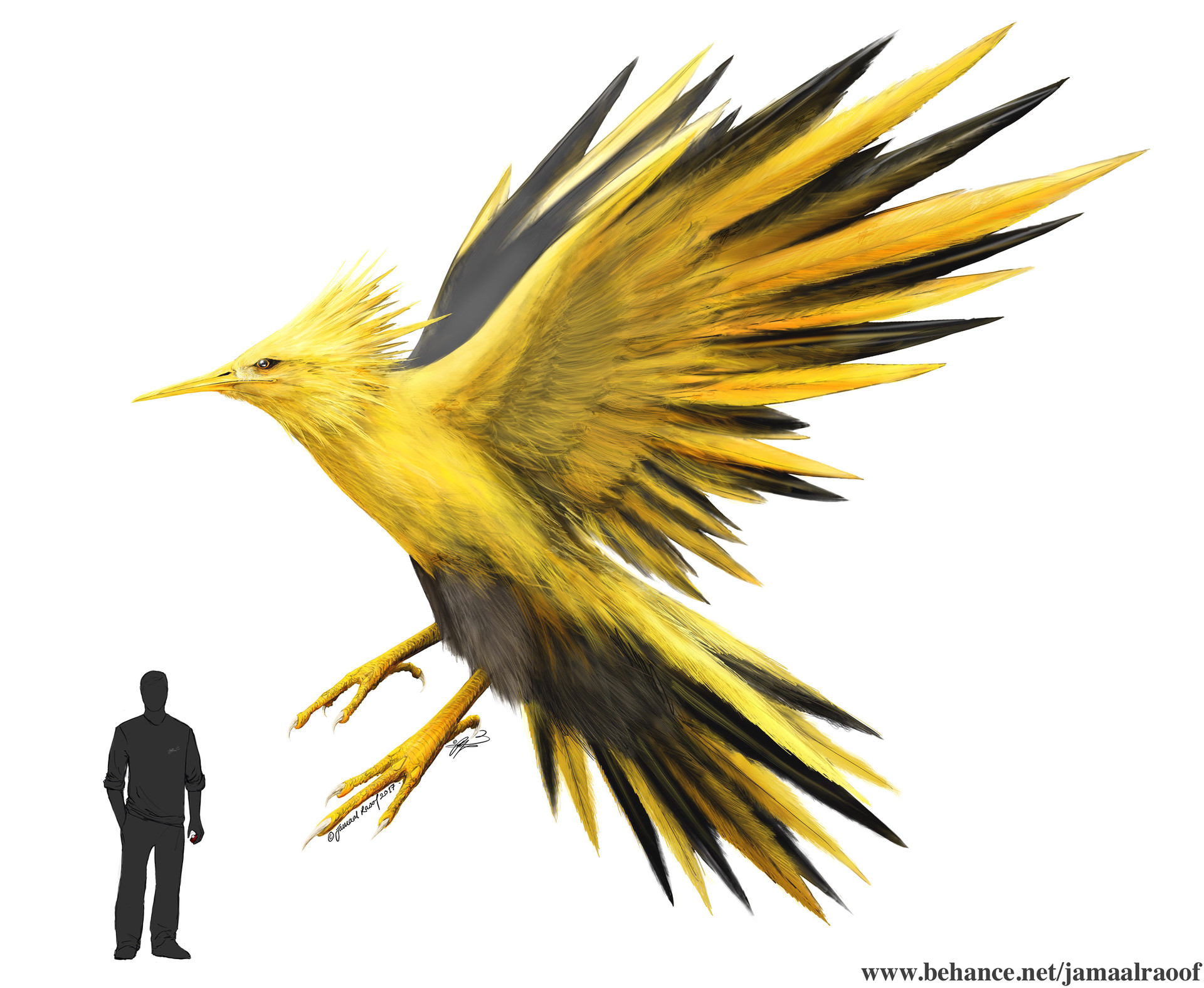 Human Zapdos