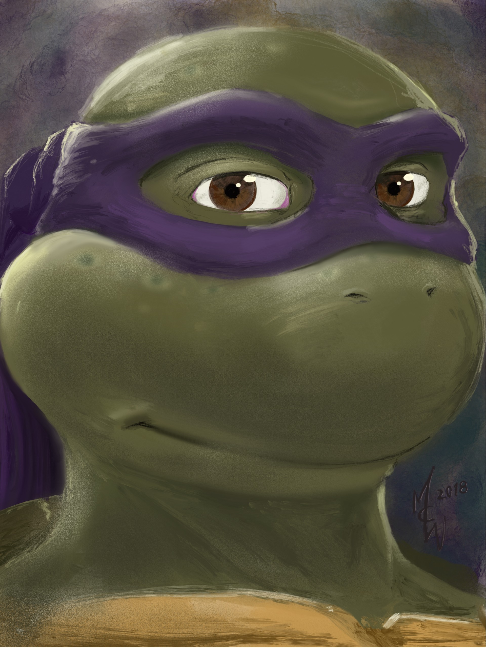 Matt Wessel - Ninja turtle portraits