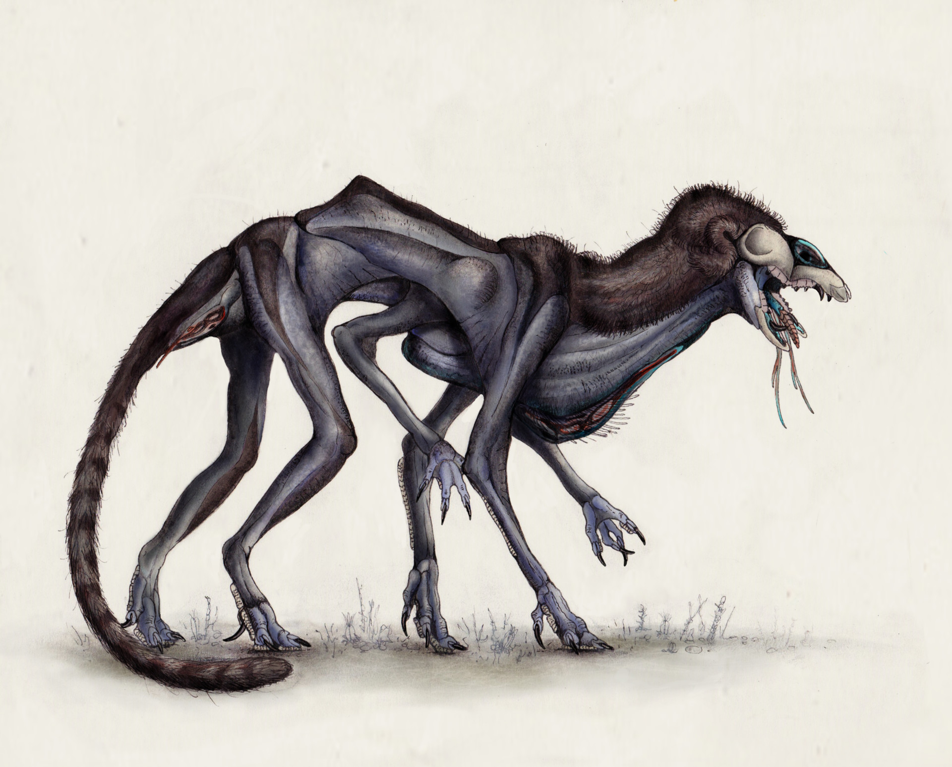 ArtStation - Rattler 2014