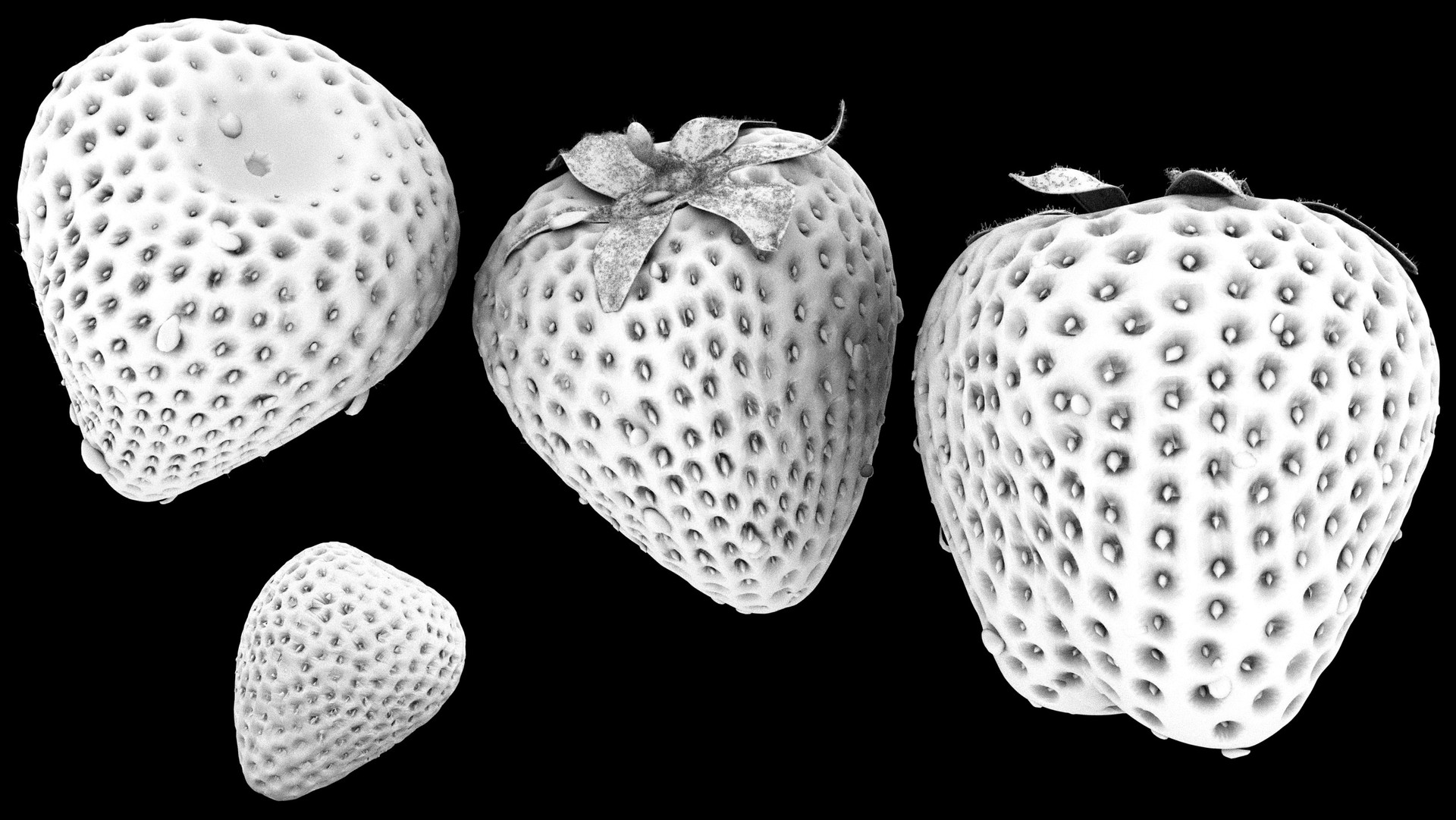 Veda Prashanth - STRAWBERRY TIME