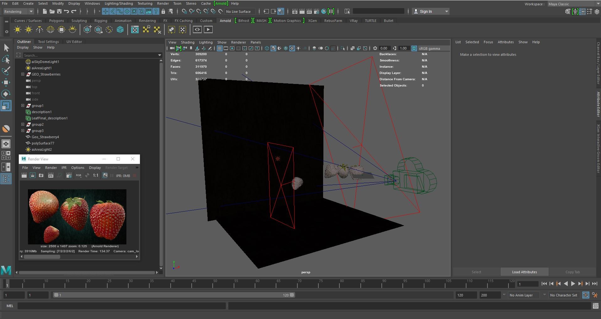Veda Prashanth - STRAWBERRY TIME