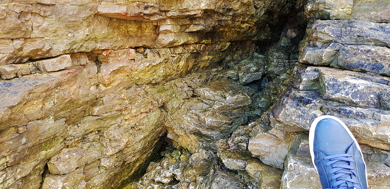 Grzegorz Baran - Rock - Photogrammetry based Environment Texture