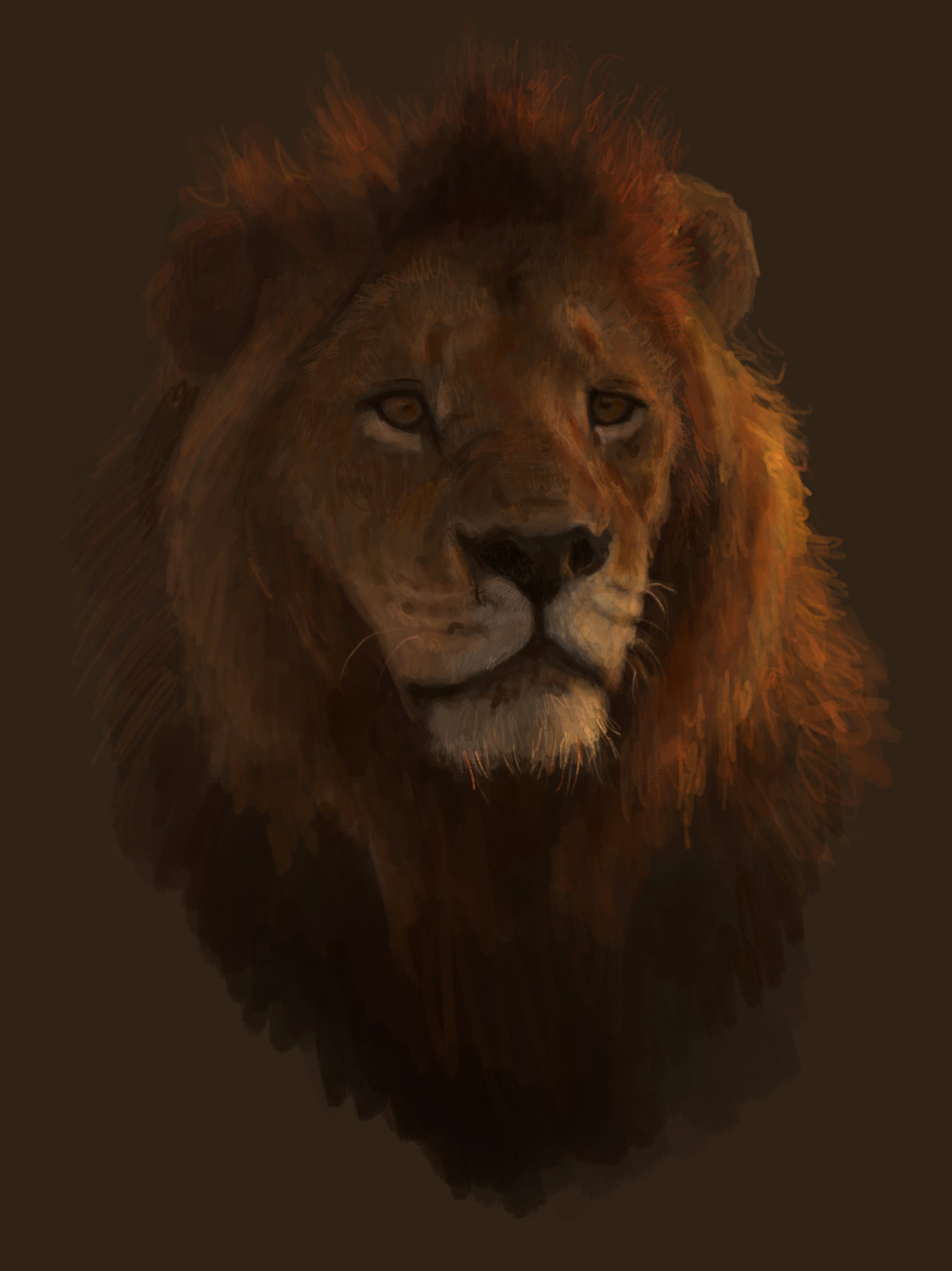 Alison Farmer - Lion