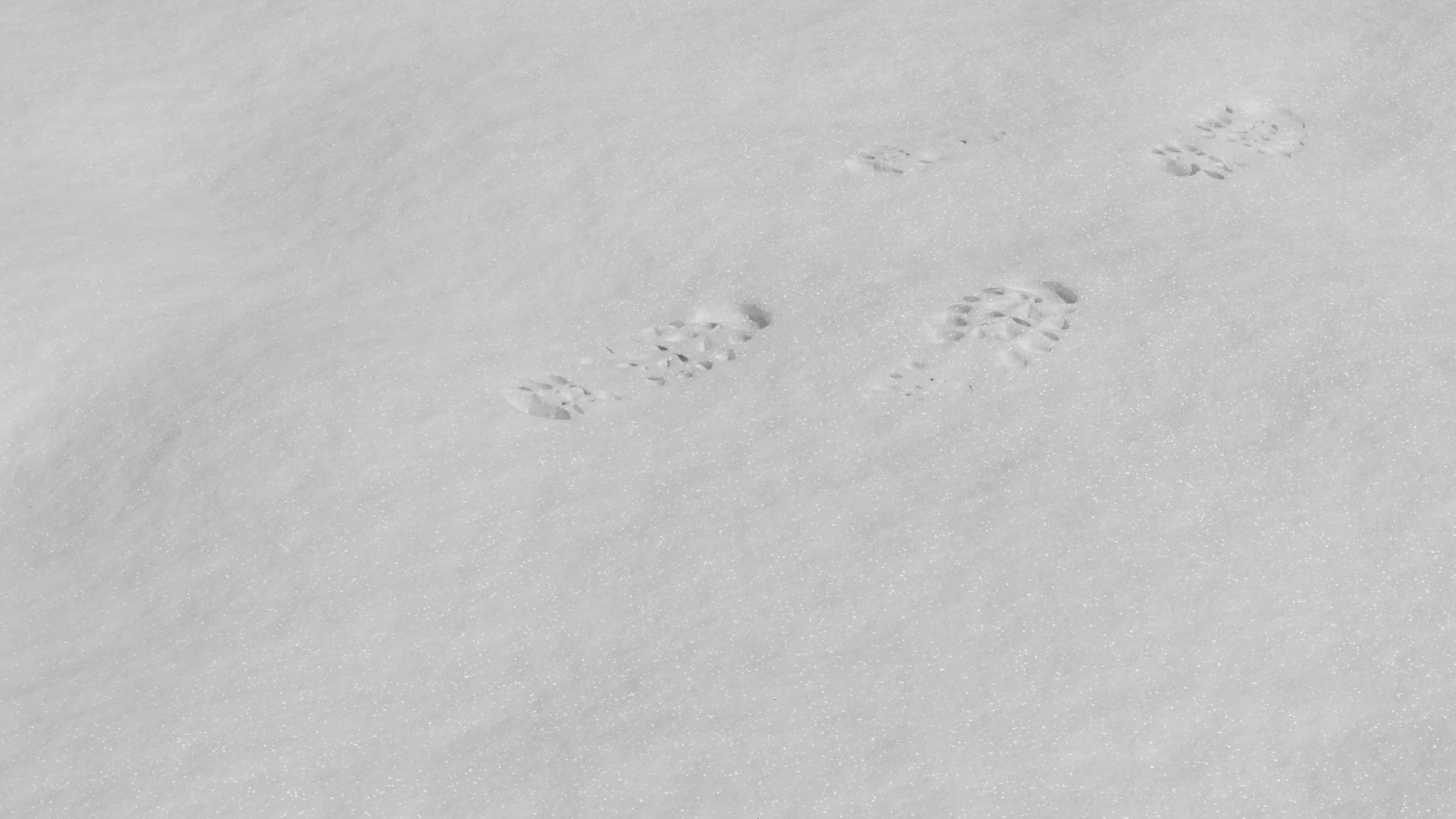 ArtStation - Footprints in the snow