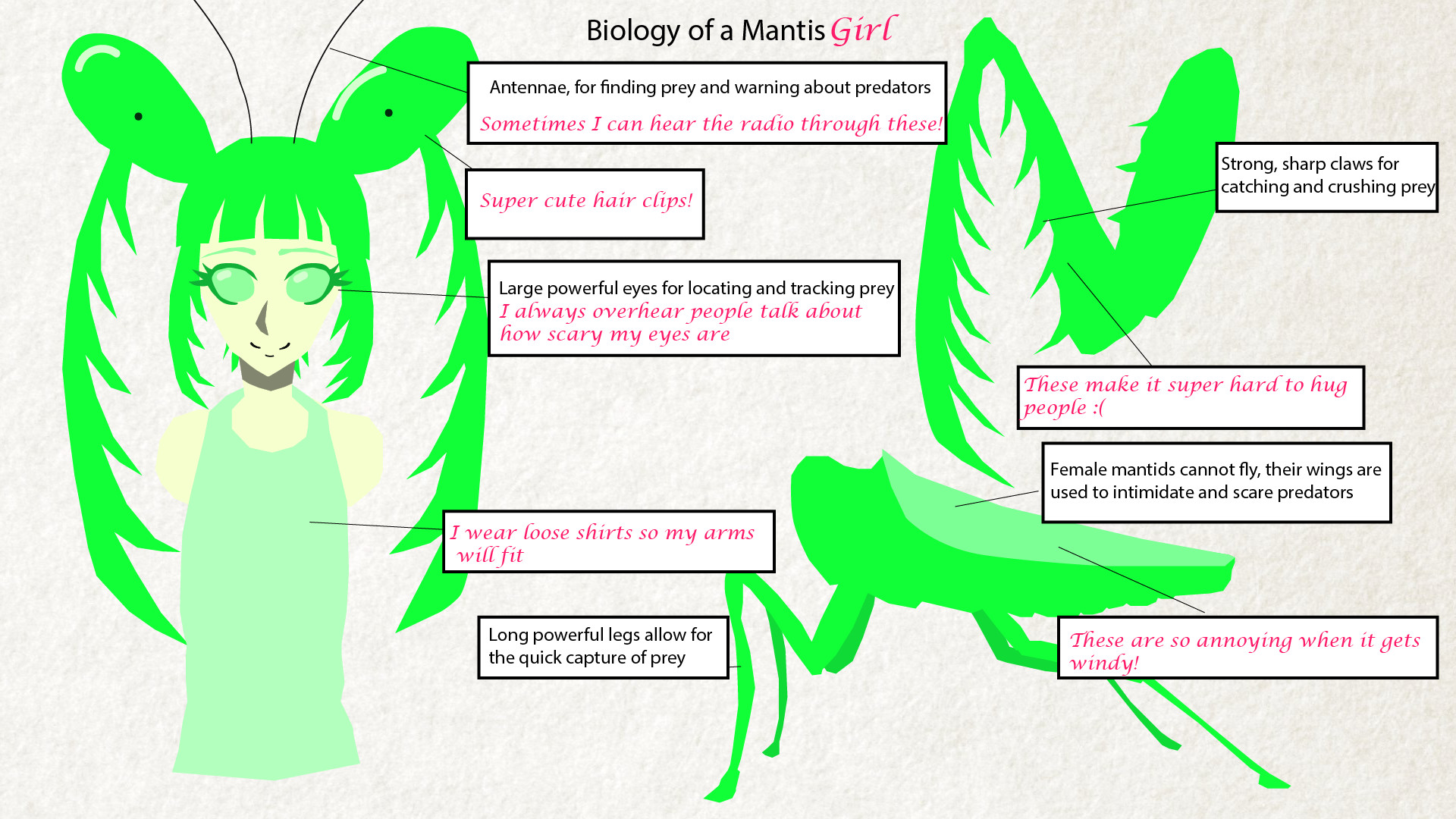 ArtStation - Infographic: Biology of a Mantis-Girl