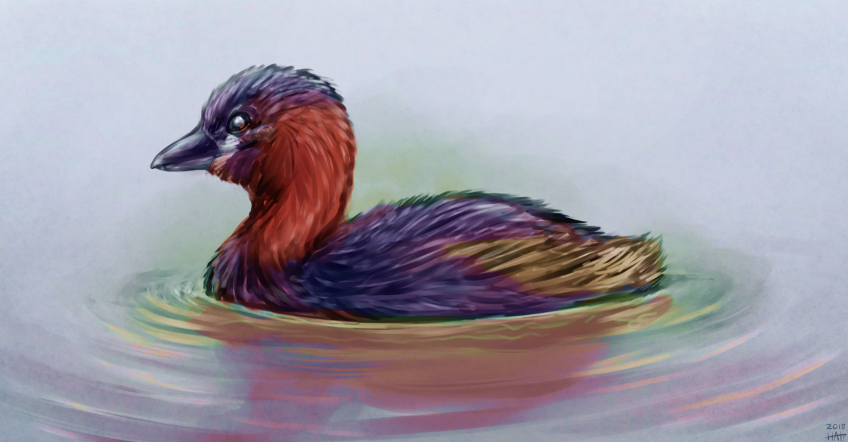 ArtStation - Little Grebe