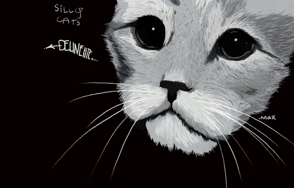 ArtStation - Cat, 2017