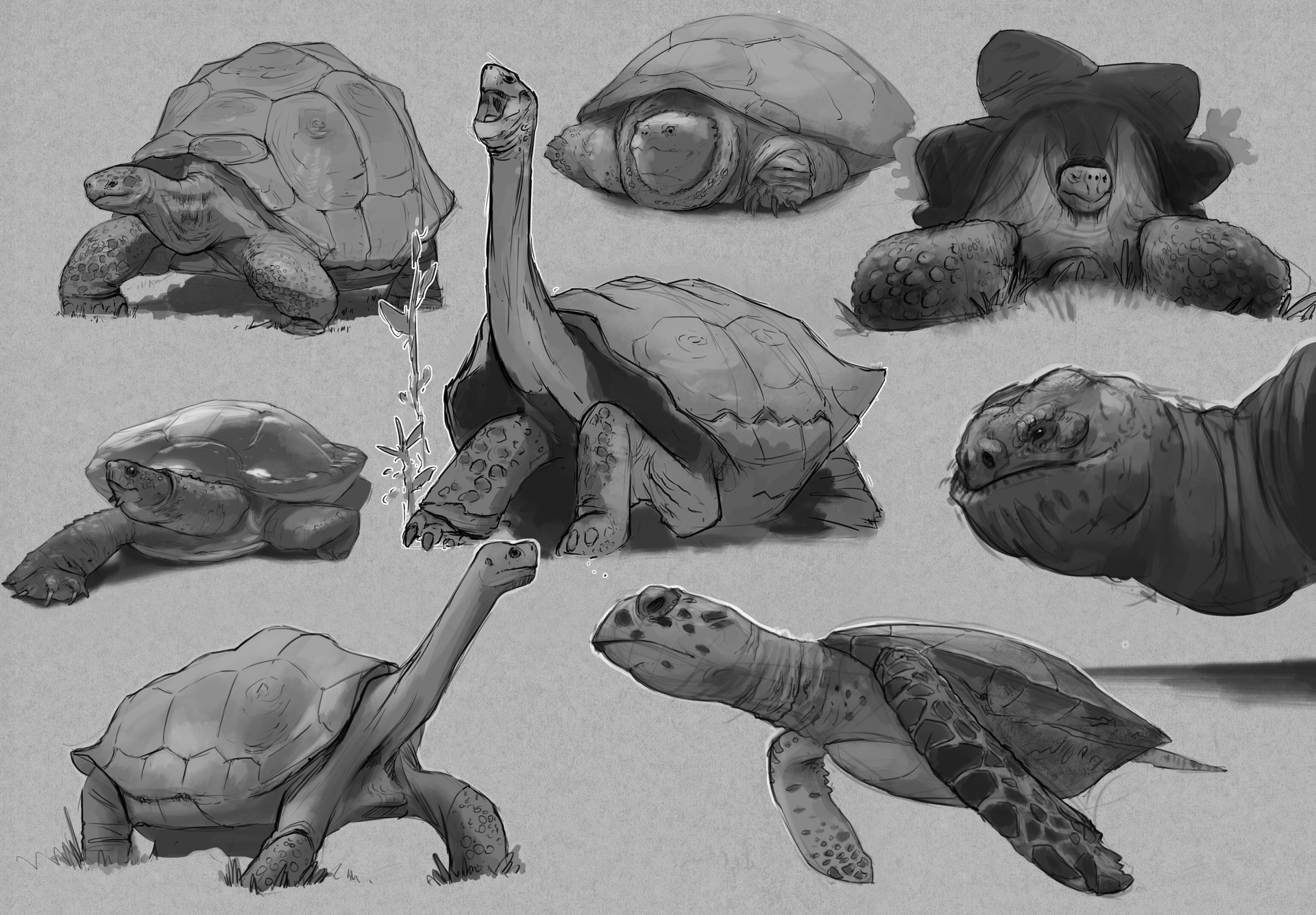 ArtStation - Turtles