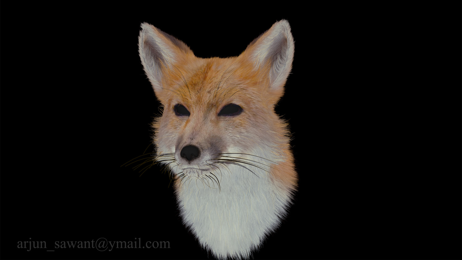 Arjun Chandrakant Sawant - Fox Head: XGEN Fur Grooming Study