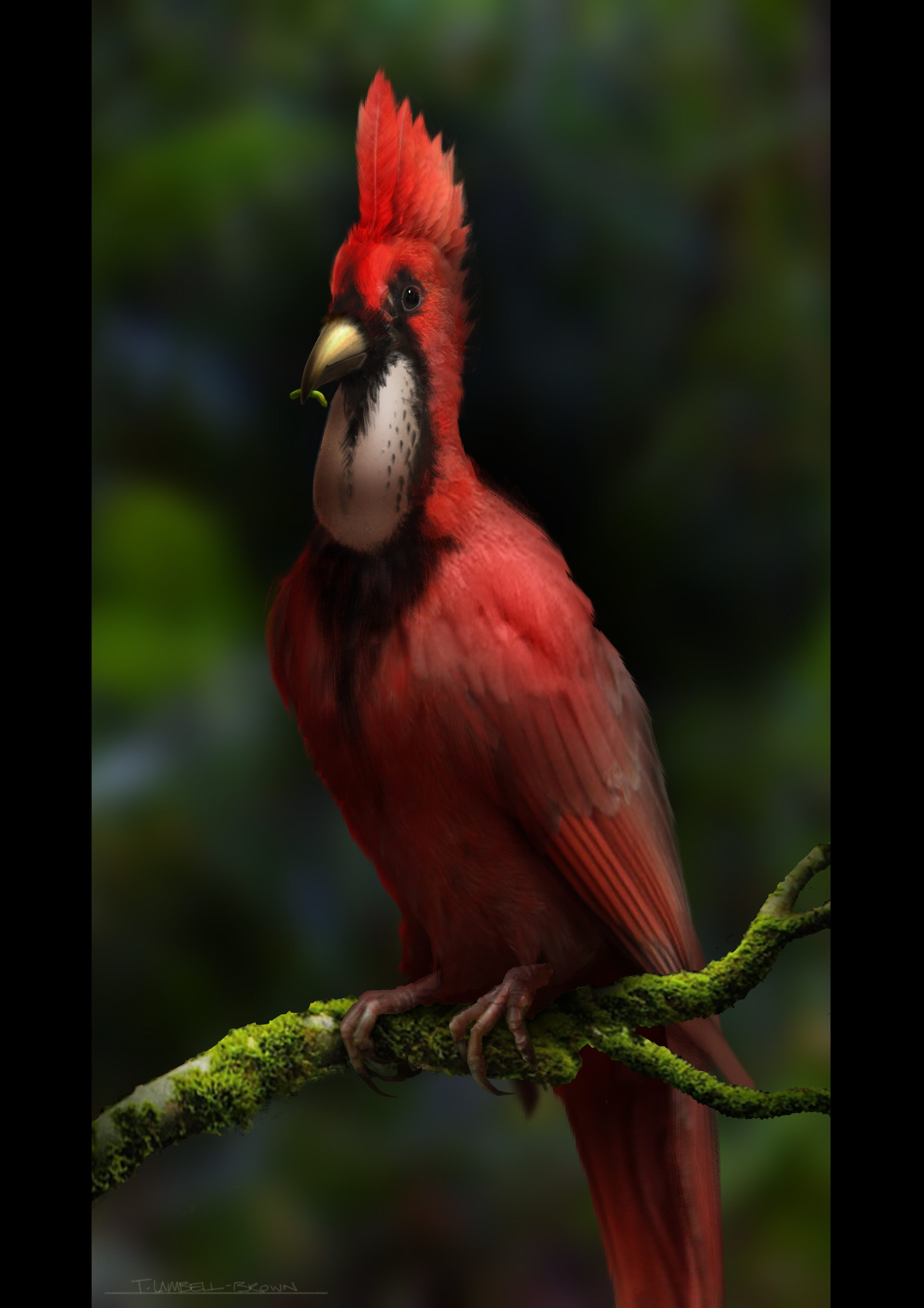 ArtStation - Red Bird