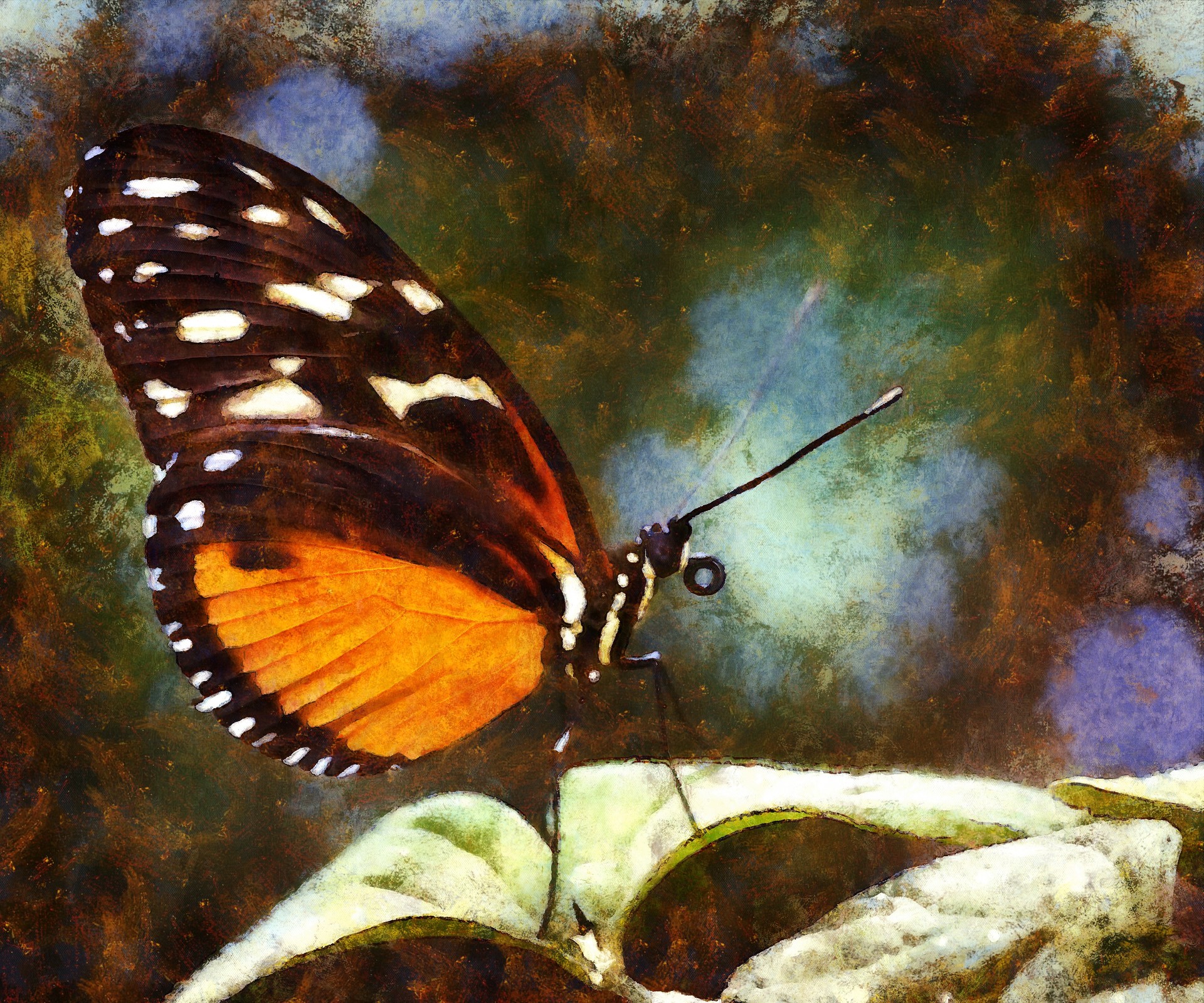 ArtStation - Painted Butterfly