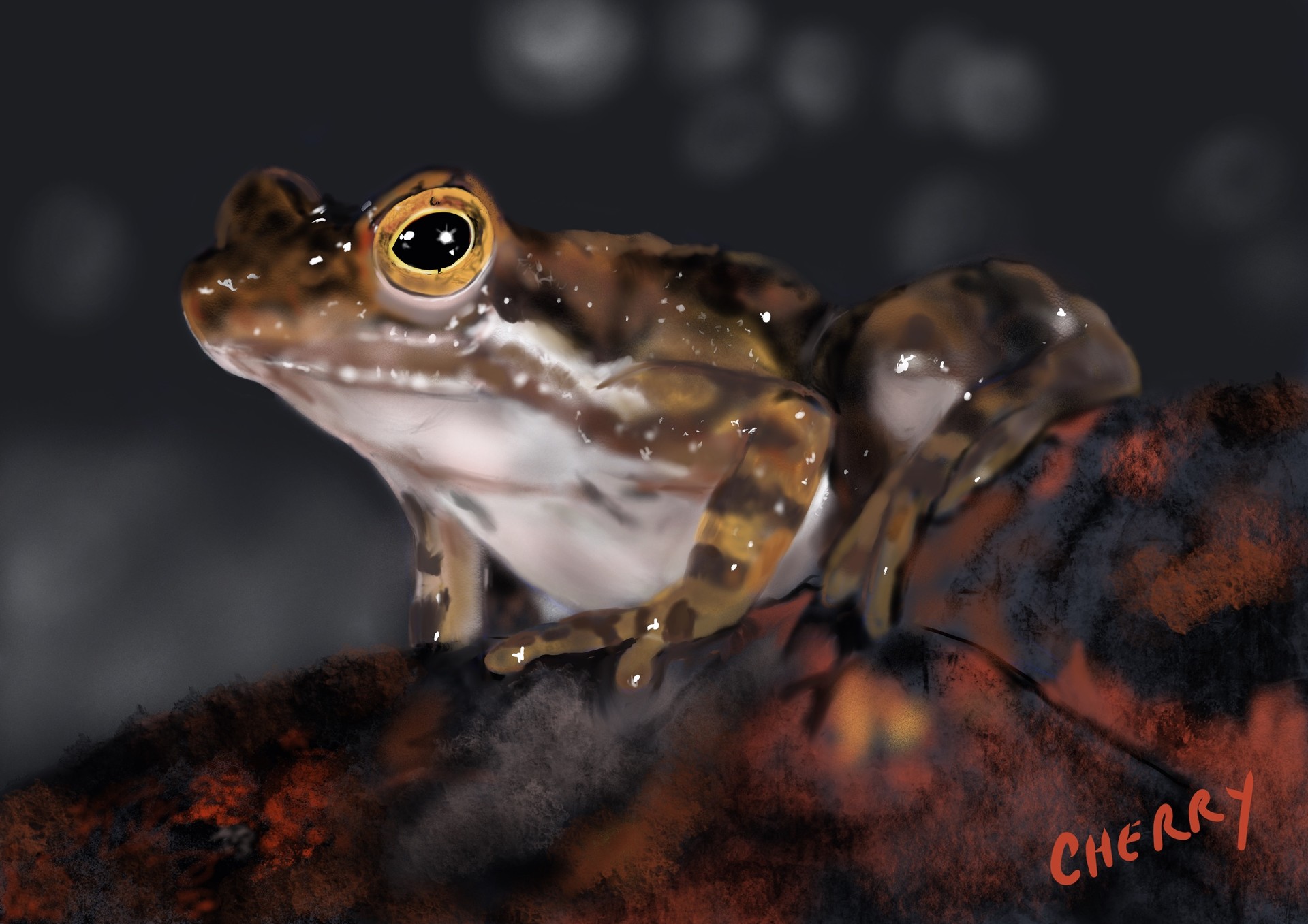 ArtStation - Tinker Frog