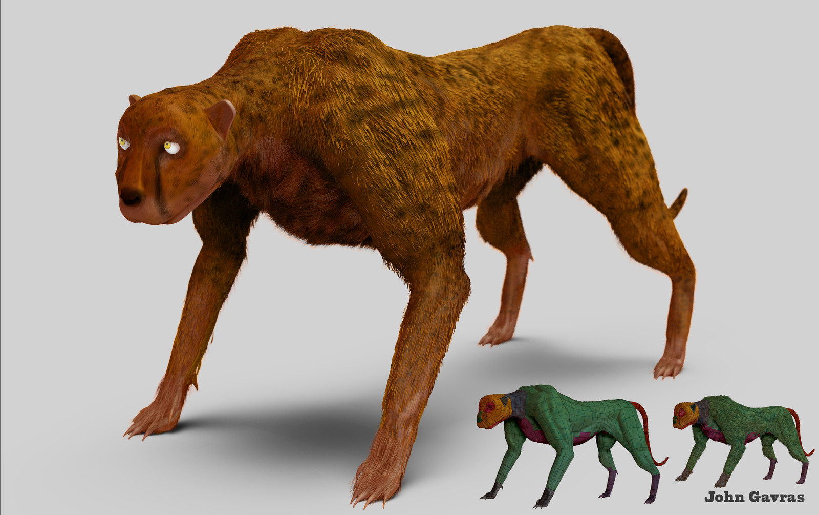 John Gavras - Cheetah