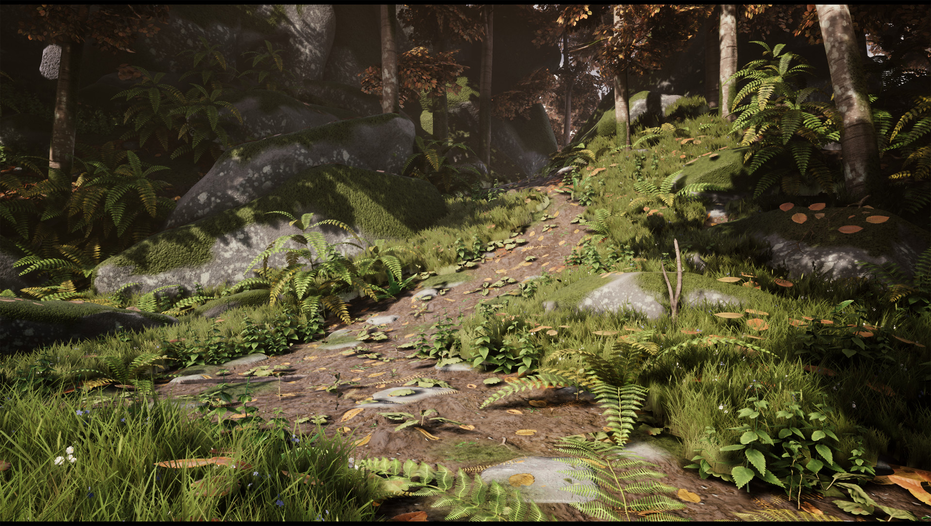 Léo Machado - Beech Forest