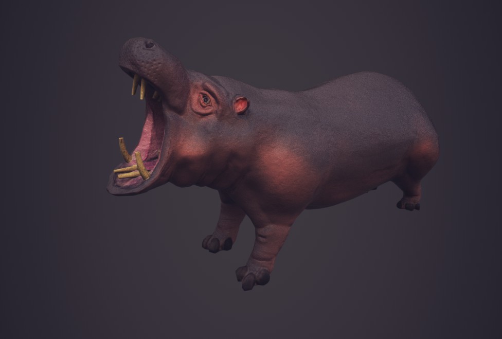 ArtStation - Hippopotamus Scene