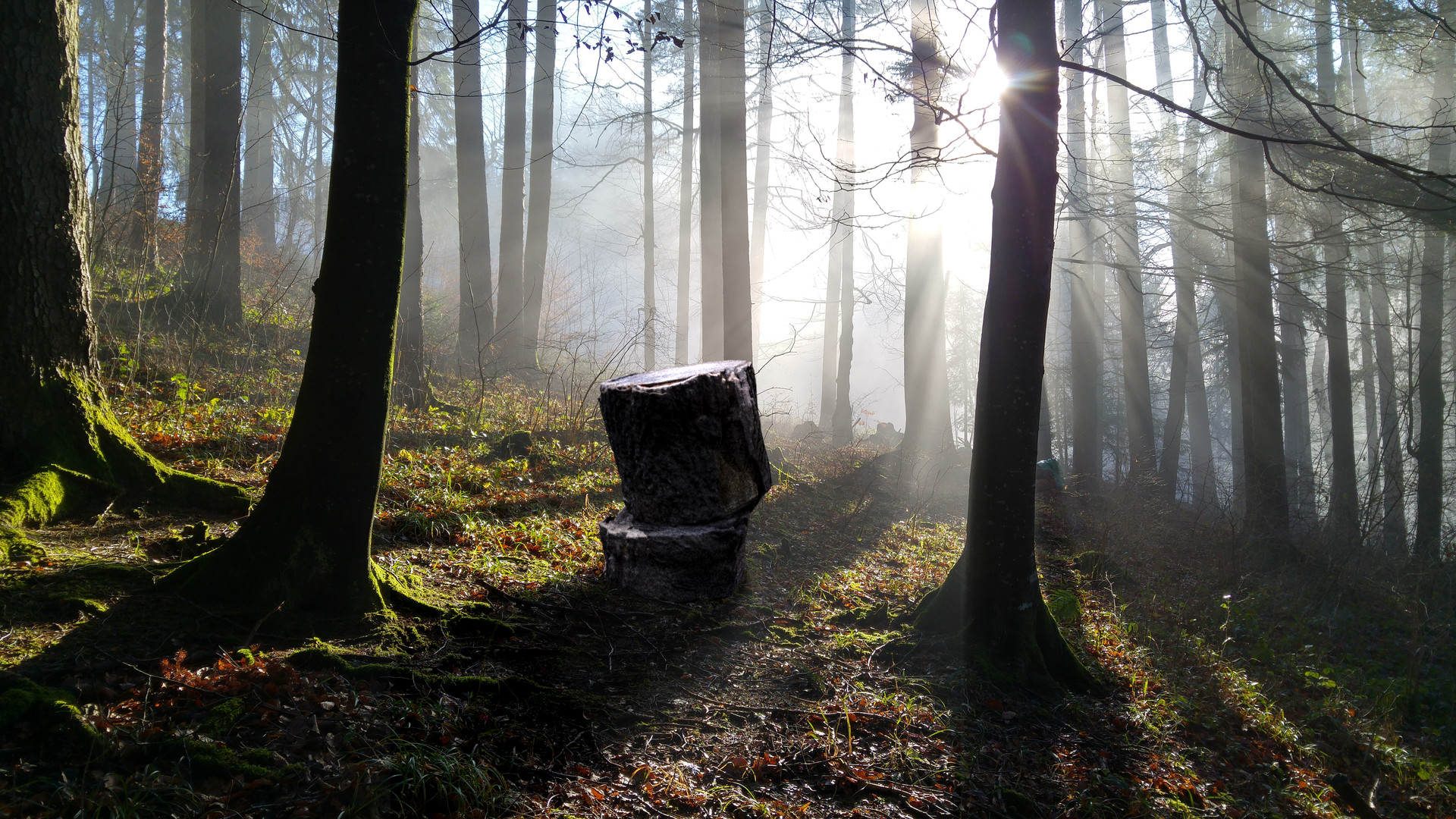 ArtStation - tree stump