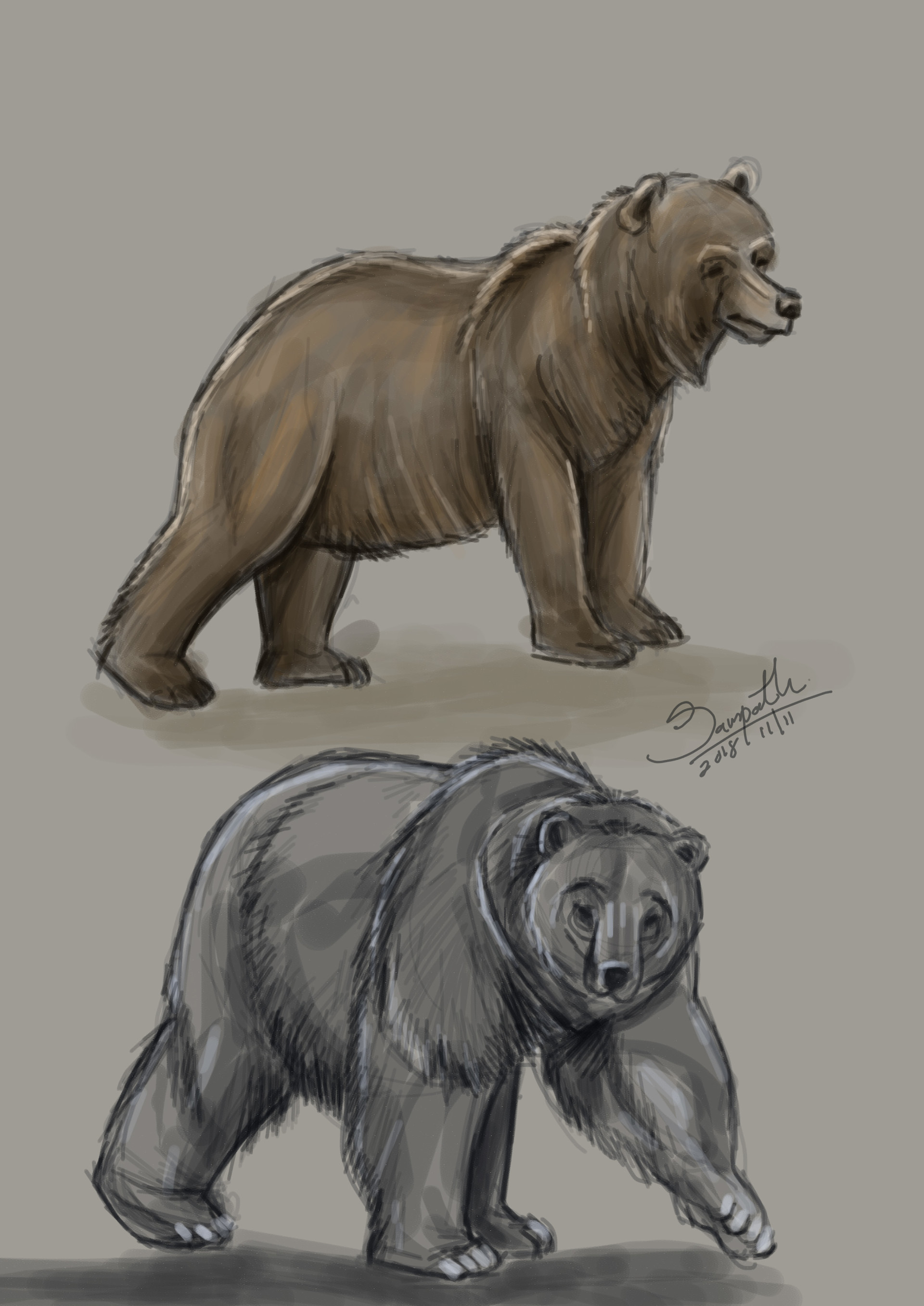 ArtStation - Bear