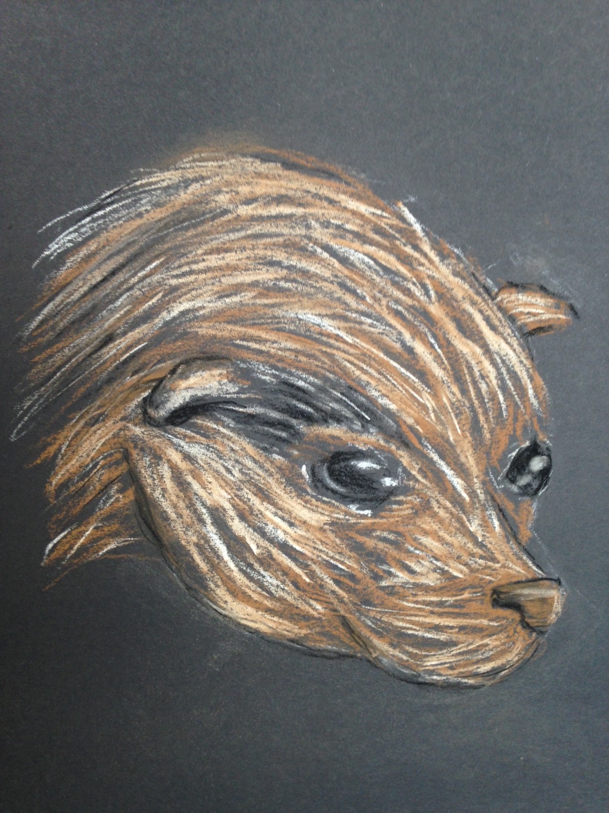 ArtStation - Weasel sketch