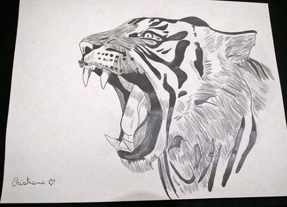 cool tiger drawing