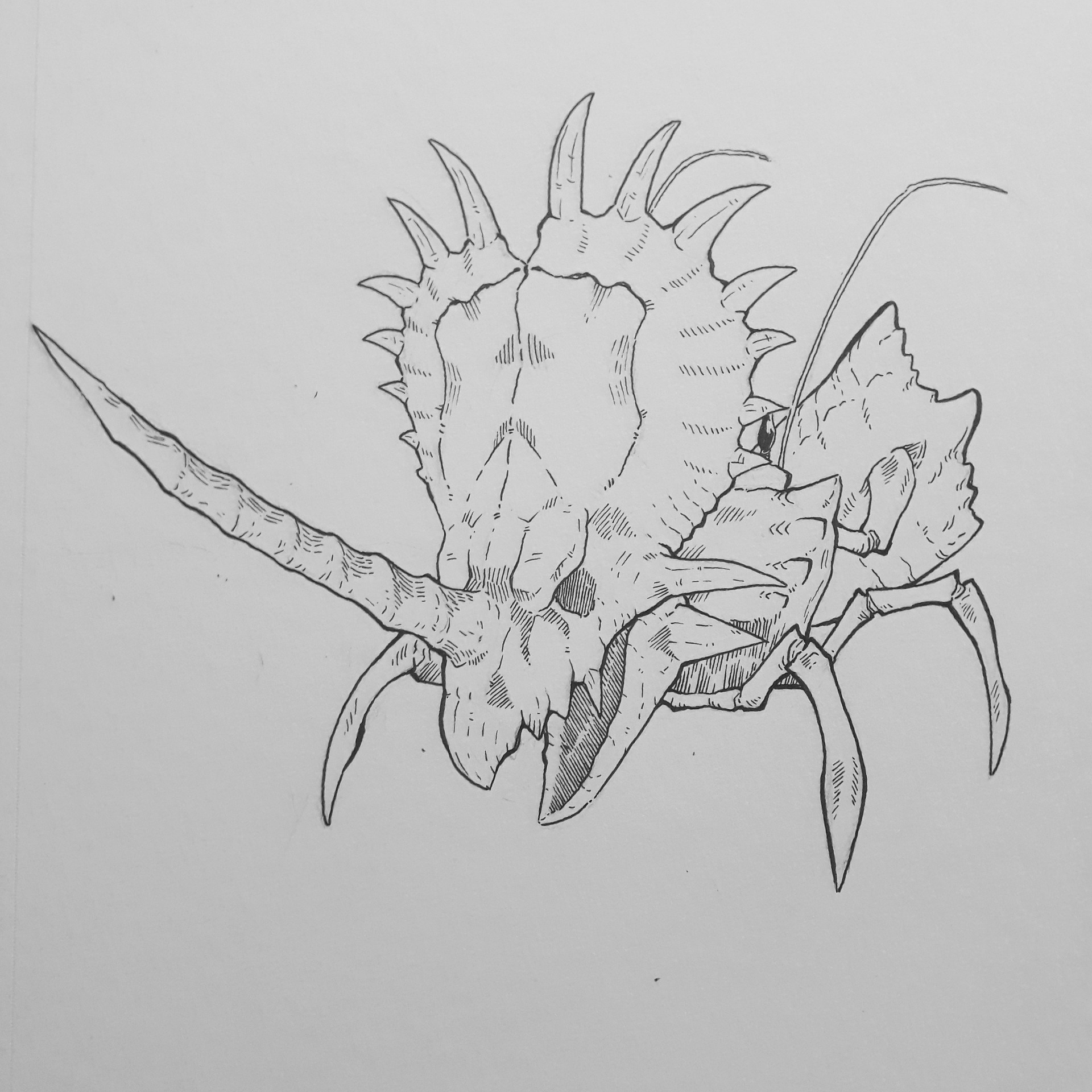 ArtStation - Daimyo hermitaur