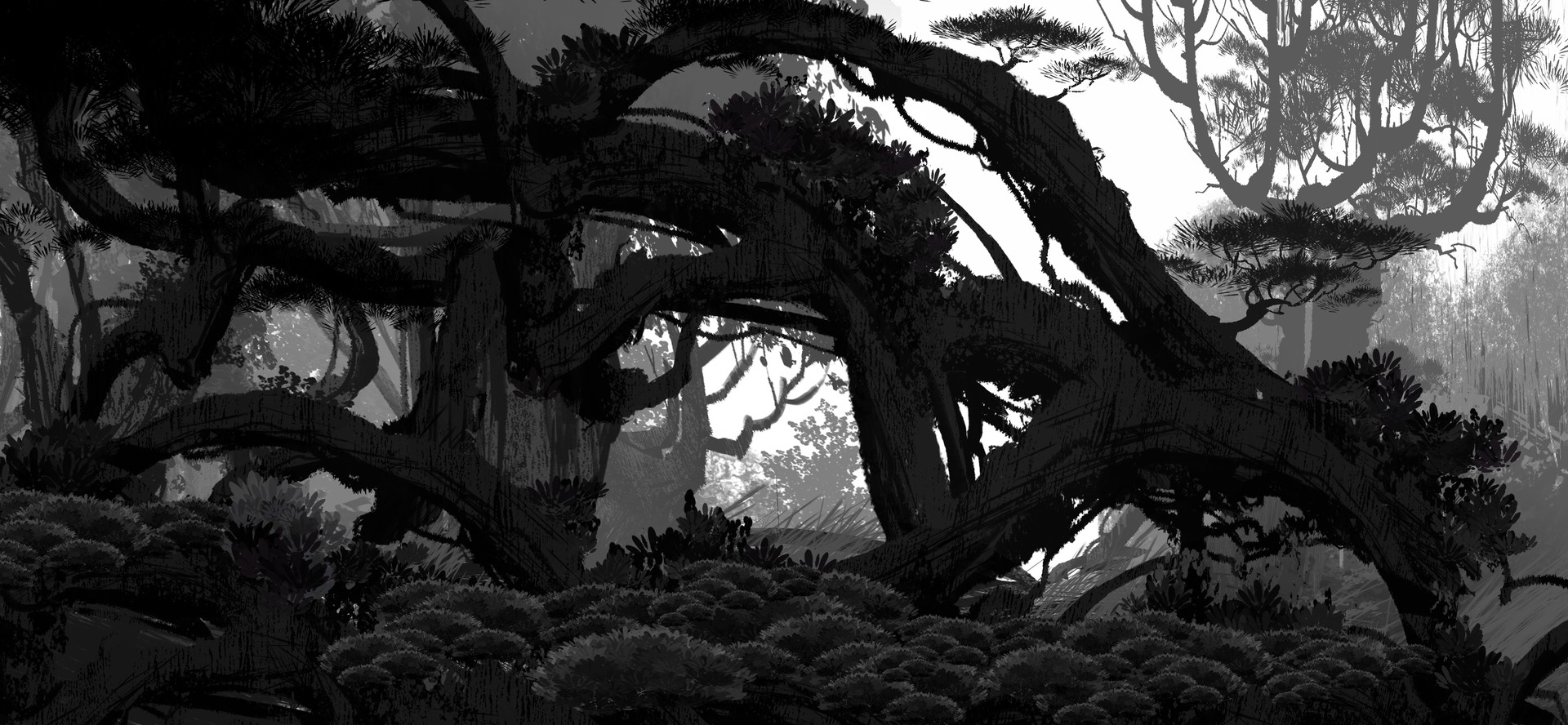 Robh ruppel c root fg1